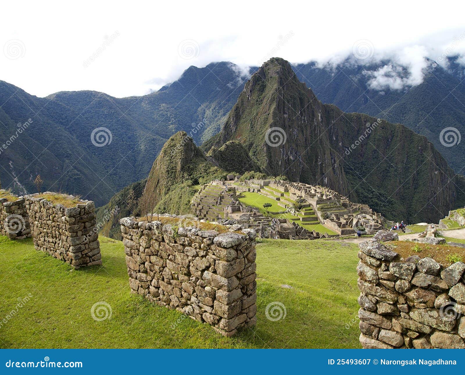 Online Essay Help | amazonia.fiocruz.br