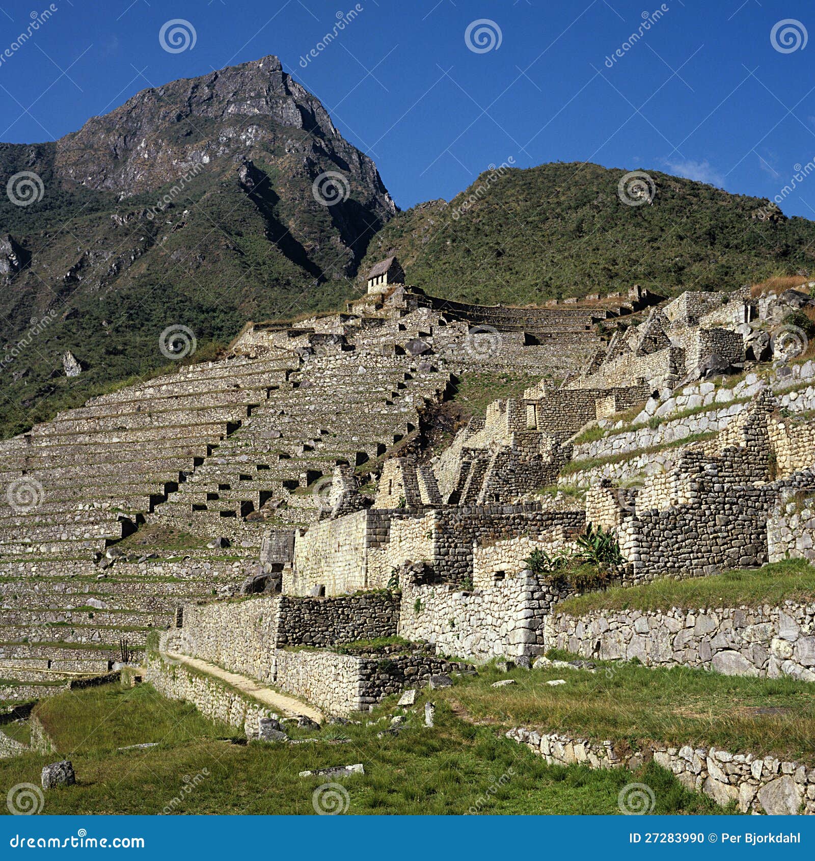 Machu Picchu terraces stock photo. Image of peru, culture - 27283990
