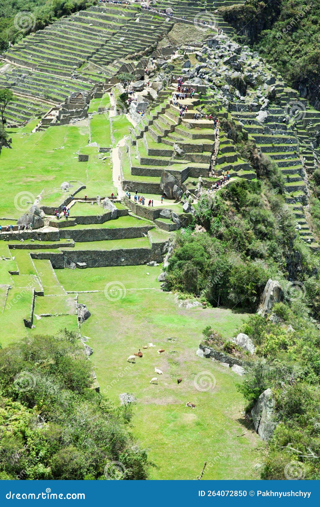 Machu Picchu stock photo. Image of landmark, archaeology - 264072850