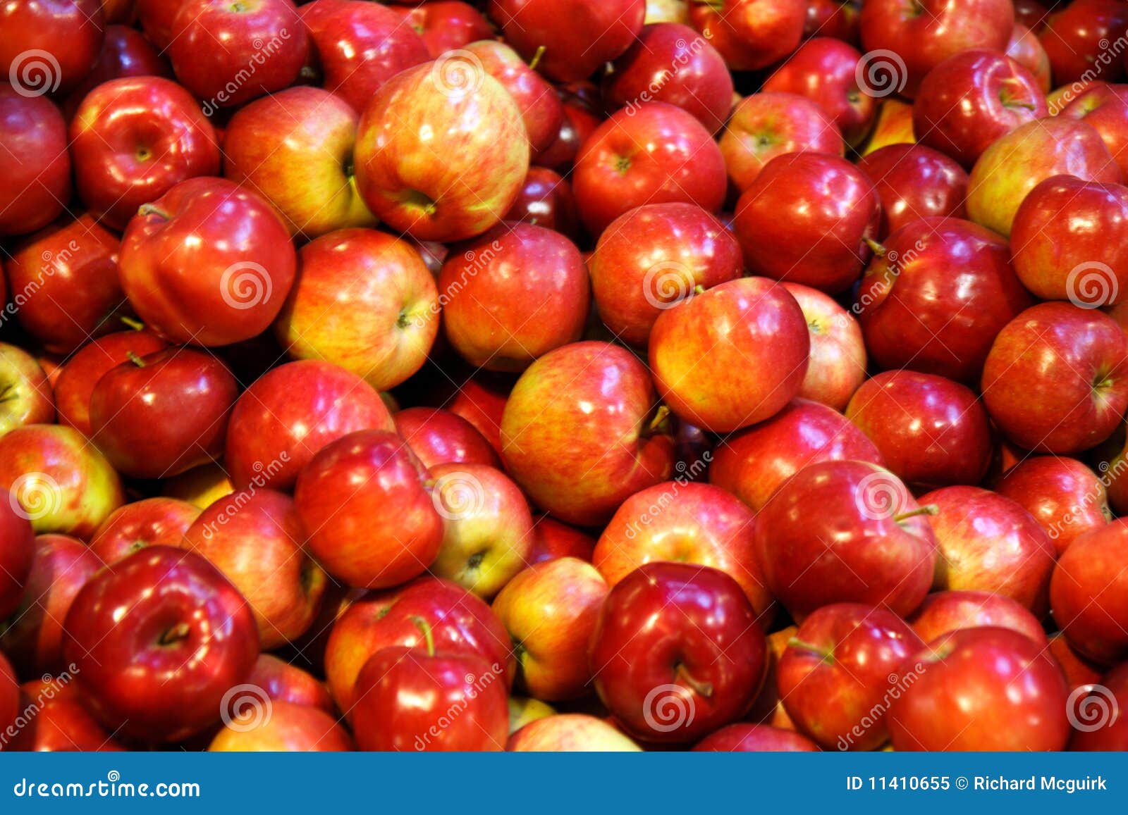 Macintosh Apples stock image. Image of multiple, number - 11410655