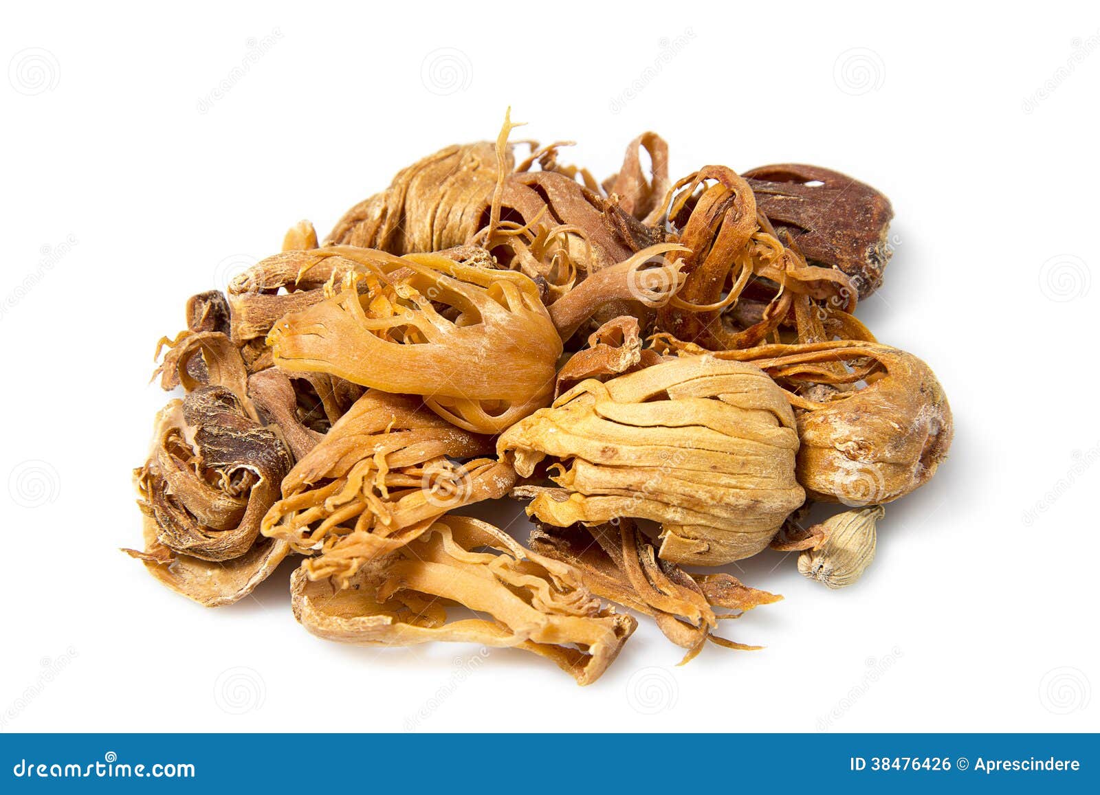 Macis foto de archivo. Imagen de nuez, alimento, ayurveda - 38476426