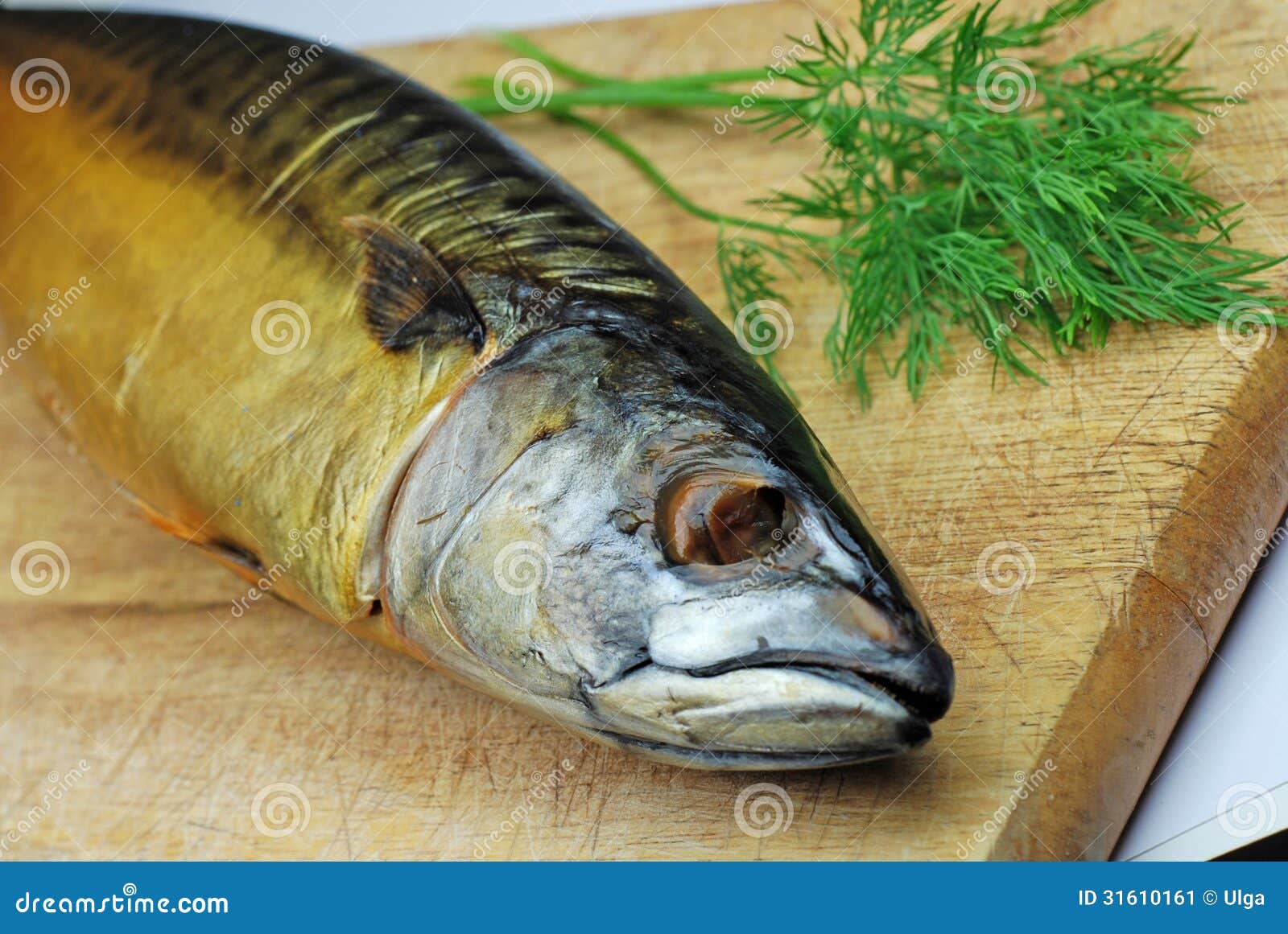 Mackarel fish stock image. Image of gourmet, mackerel - 31610161