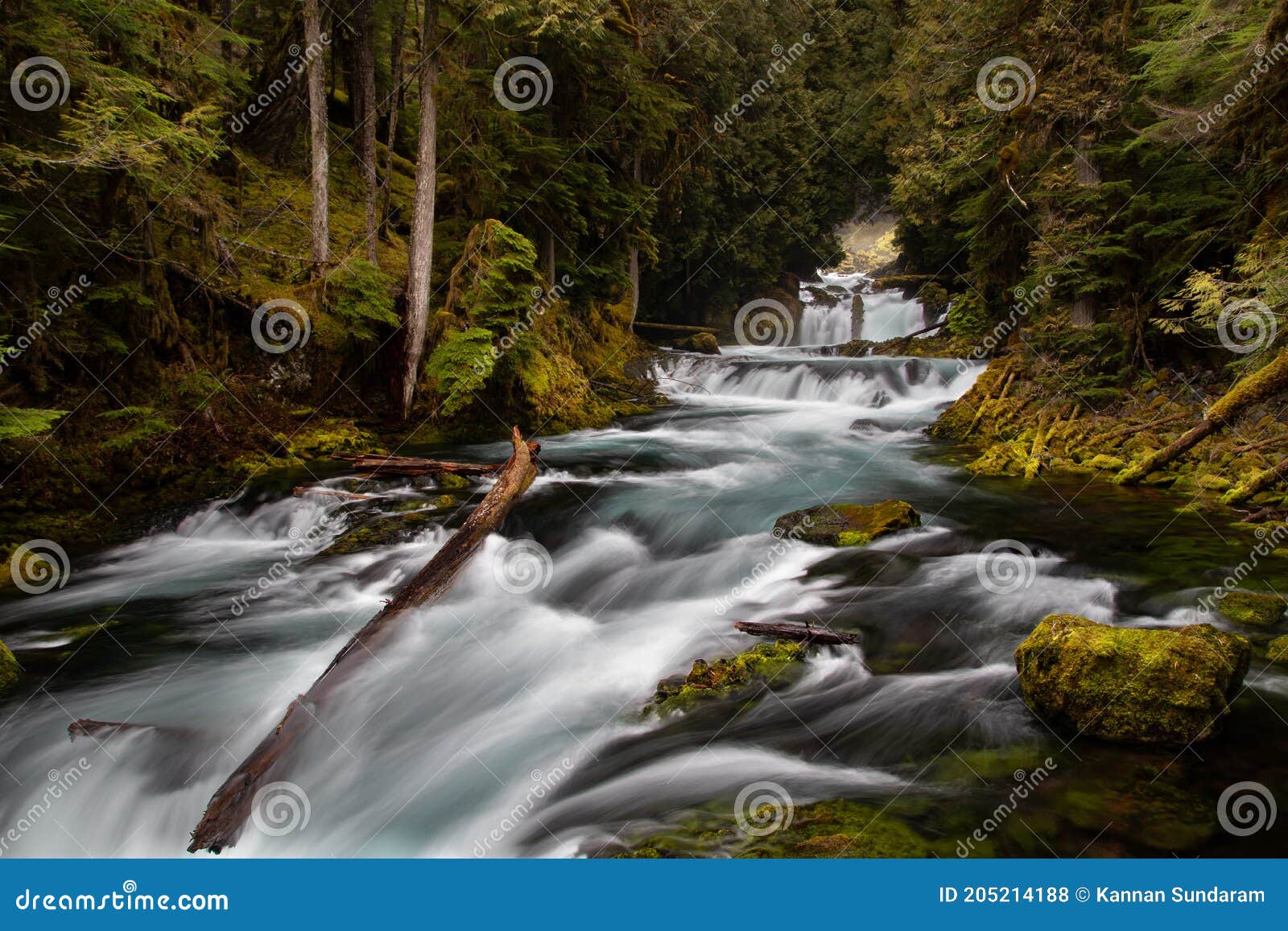 Mackenzie River in the Cascades in Oregon Stock Photo - Image of person ...