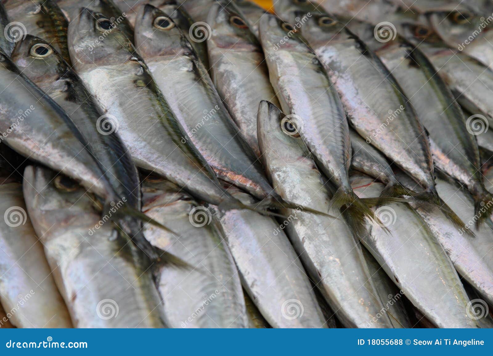 Mackerel Fish In Bamboo Basket Royalty-Free Stock Photography ...