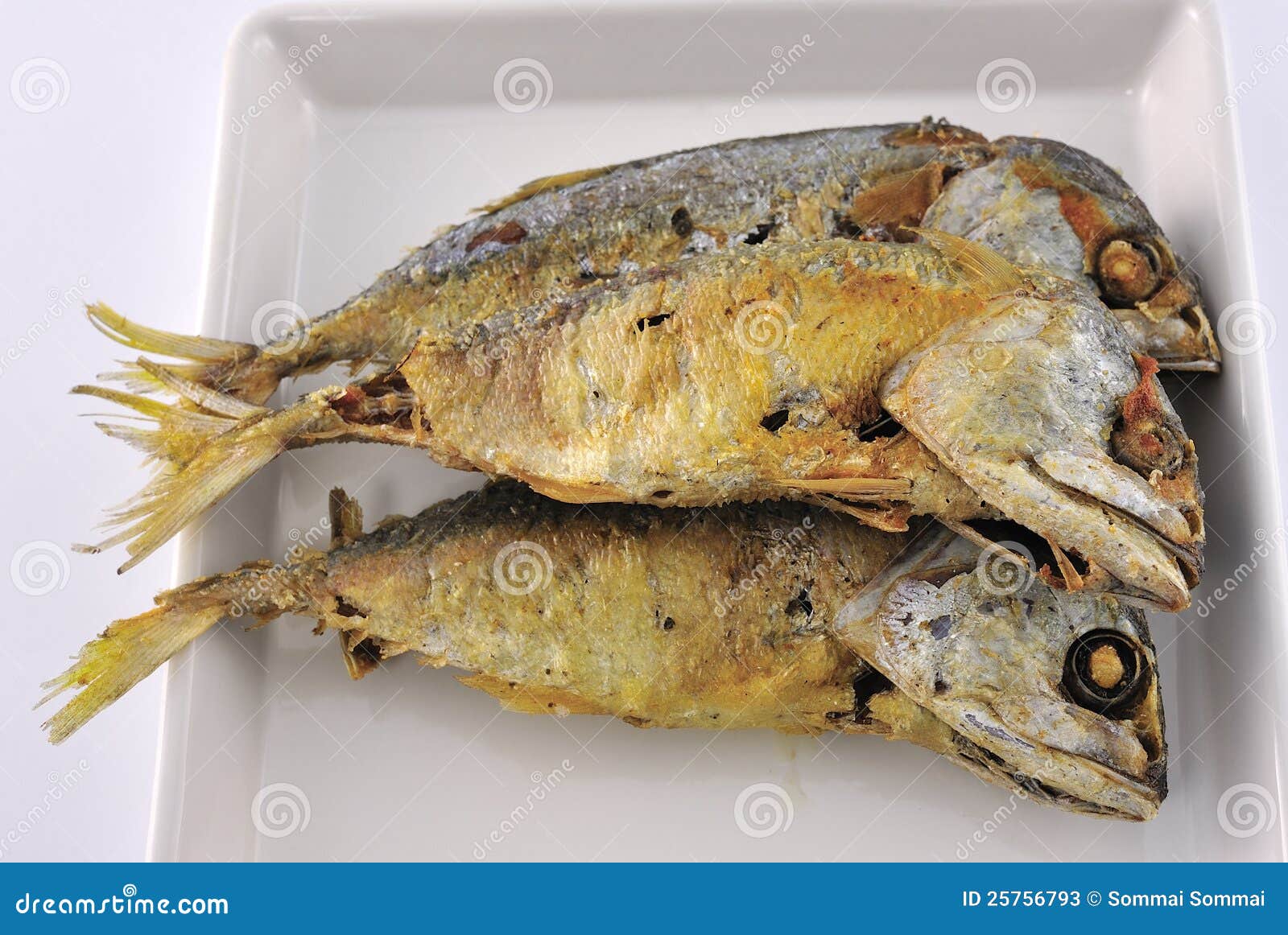 Mackerel fish stock image. Image of asian, mouth, sardines - 25756793