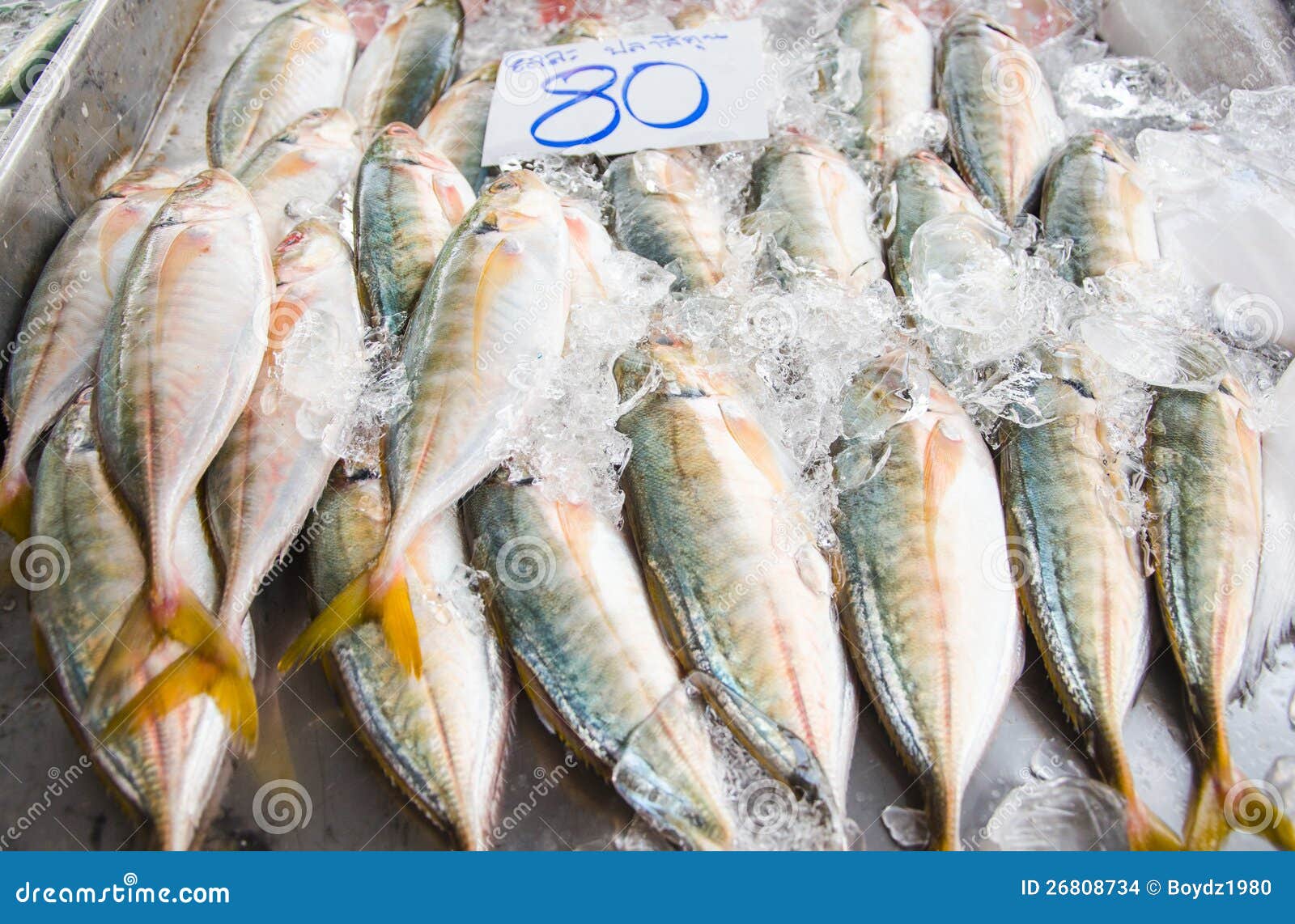 Mackerel fish stock photo. Image of nutritious, catering - 26808734