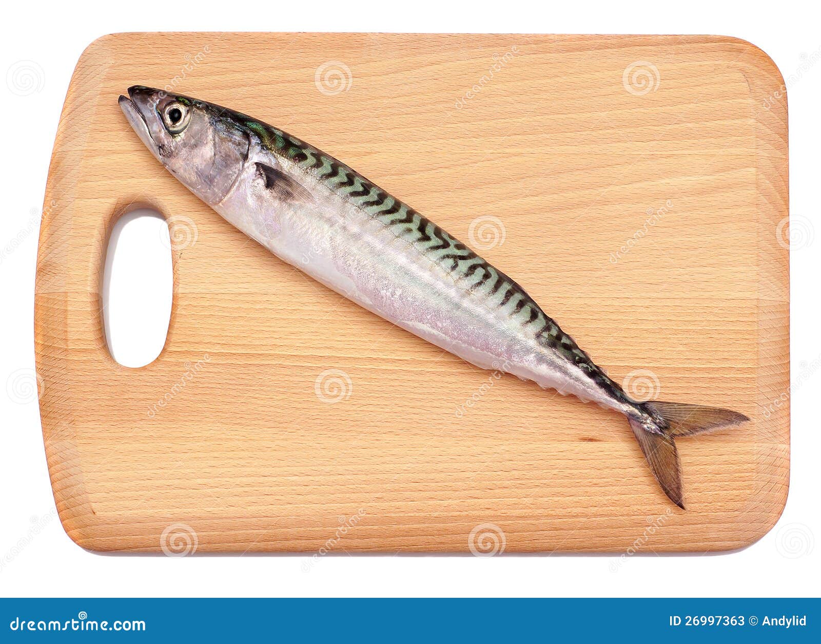 Mackerel Fish stock image. Image of body, angling, scomber - 26997363
