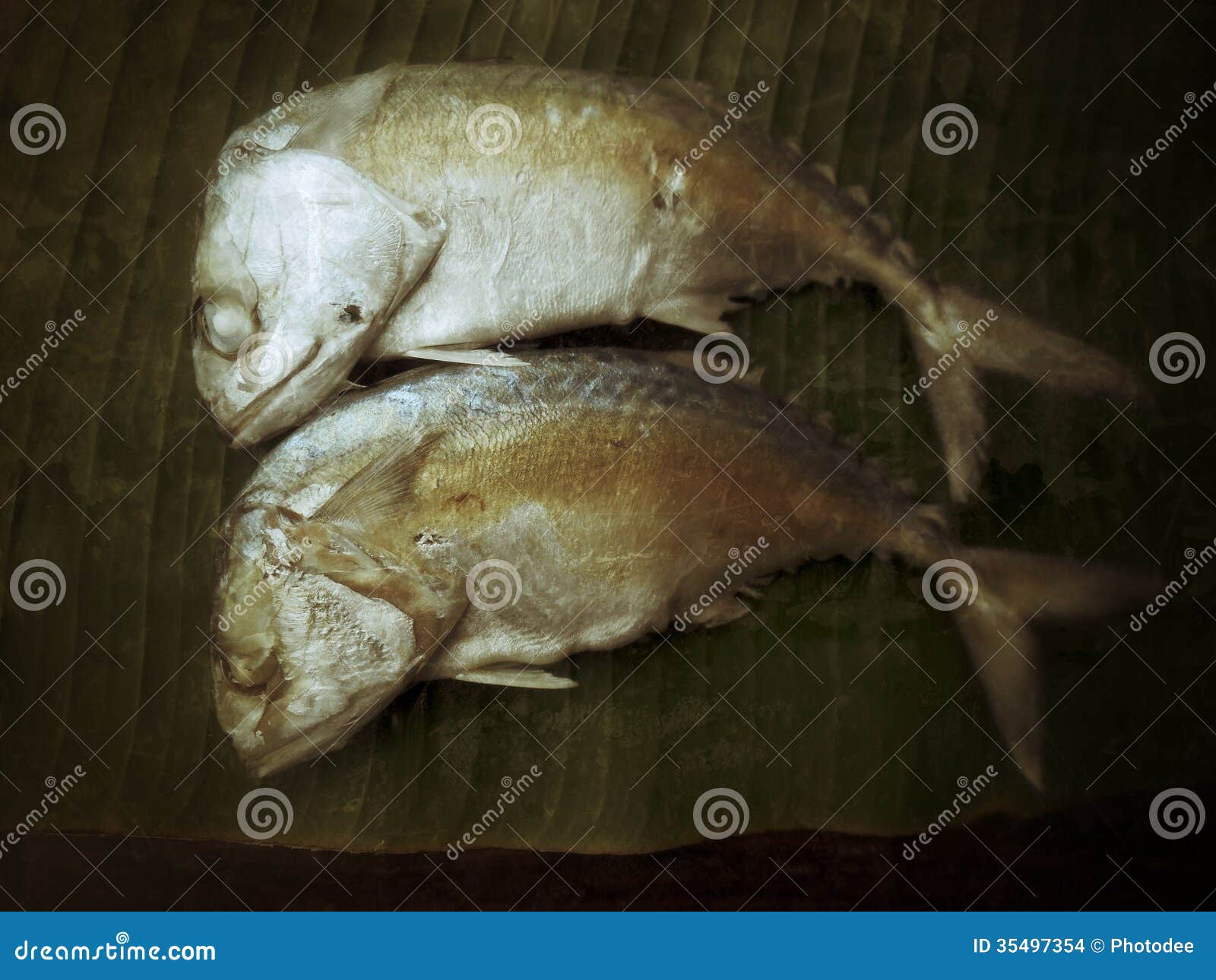 Mackerel fish stock photo. Image of asian, boil, banana - 35497354