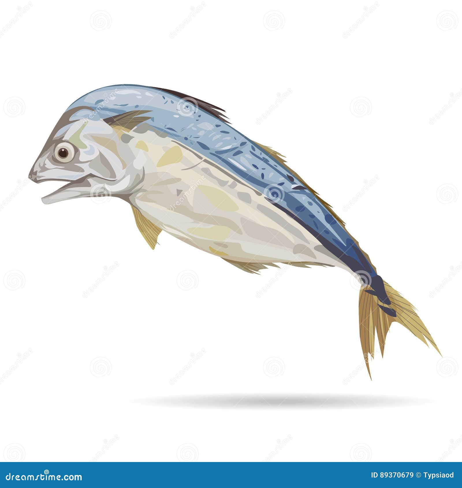Mackerel Fish with Digital Painting. Stock Vector - Illustration of ...
