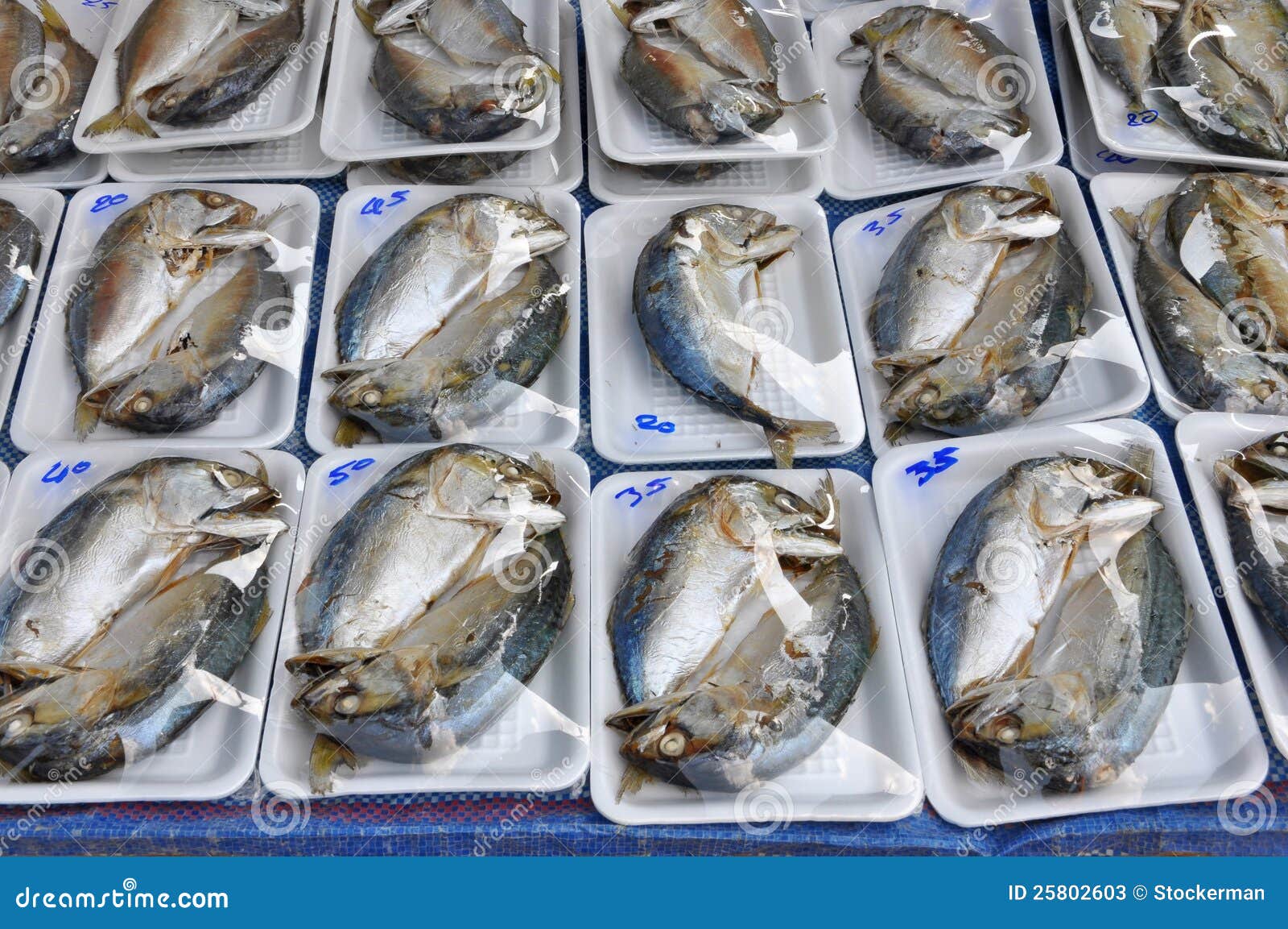 Mackerel Fish in Foam Box stock image. Image of fresh - 25802603
