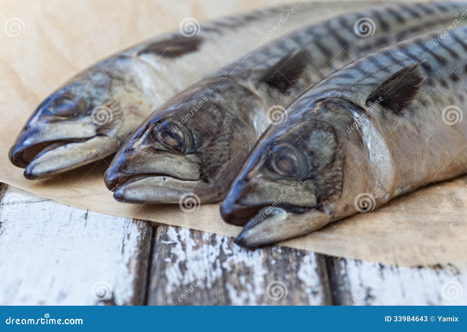 Mackerel Fish stock image. Image of freshness, seafood - 33984643