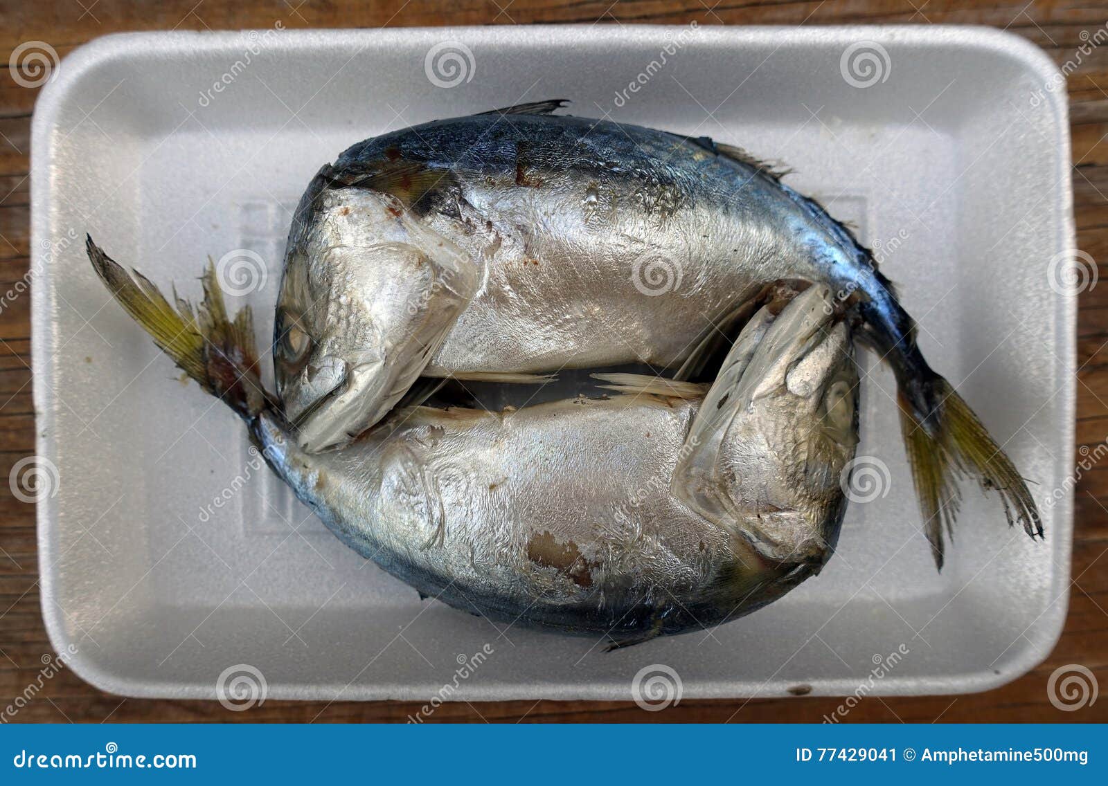 Mackerel fish stock image. Image of fresh, view, thai - 77429041