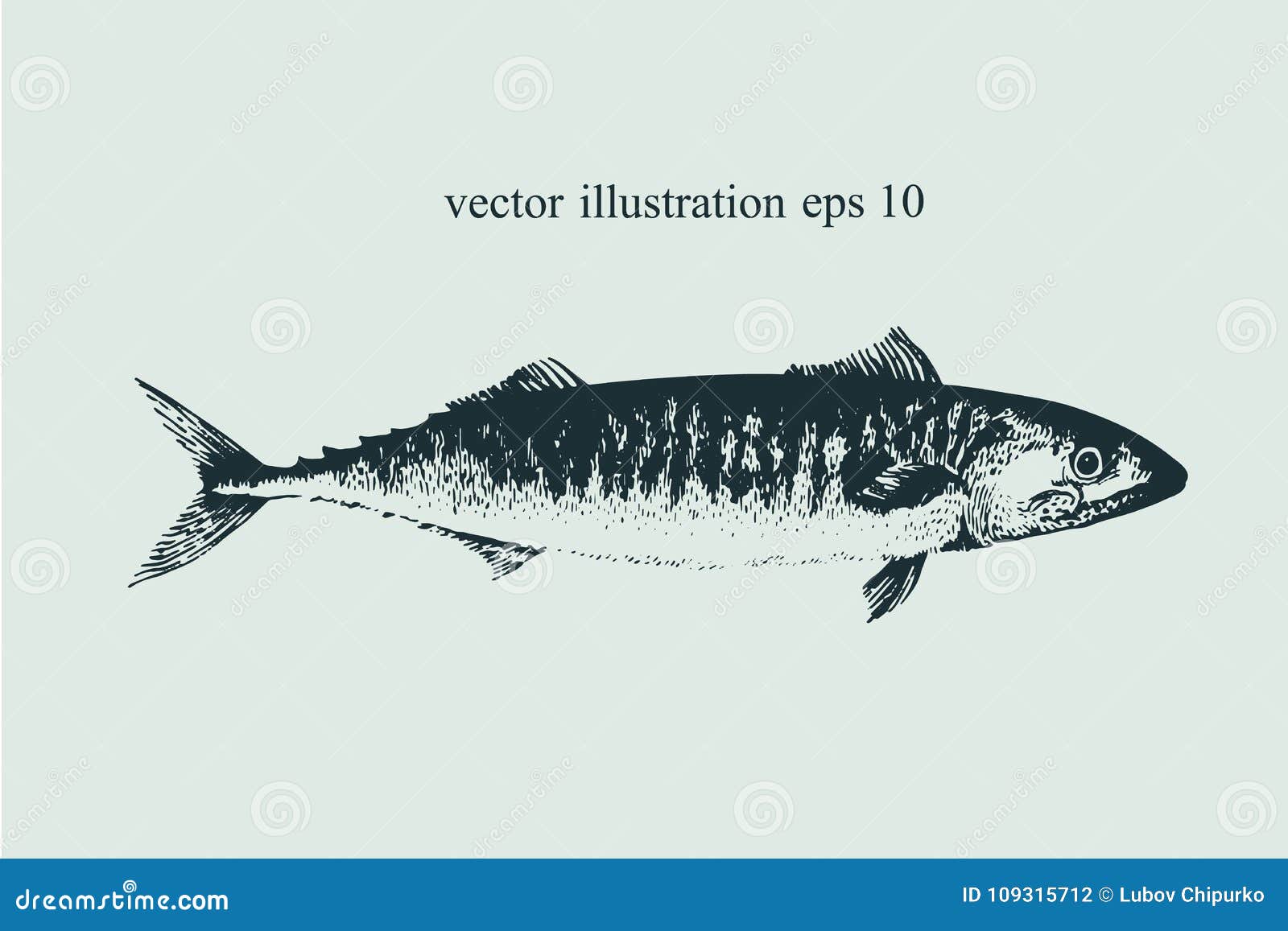 Mackerel. Hand Drawn Retro Vector Illustration. Fish Silhouette Stock ...
