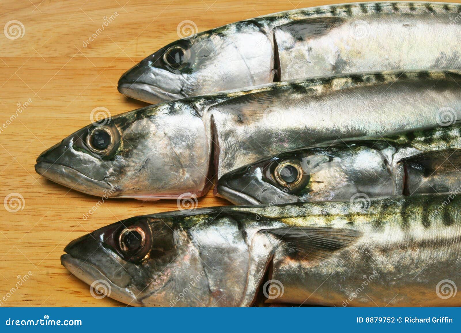 Mackerel heads stock photo. Image of food, silver, wooden - 8879752
