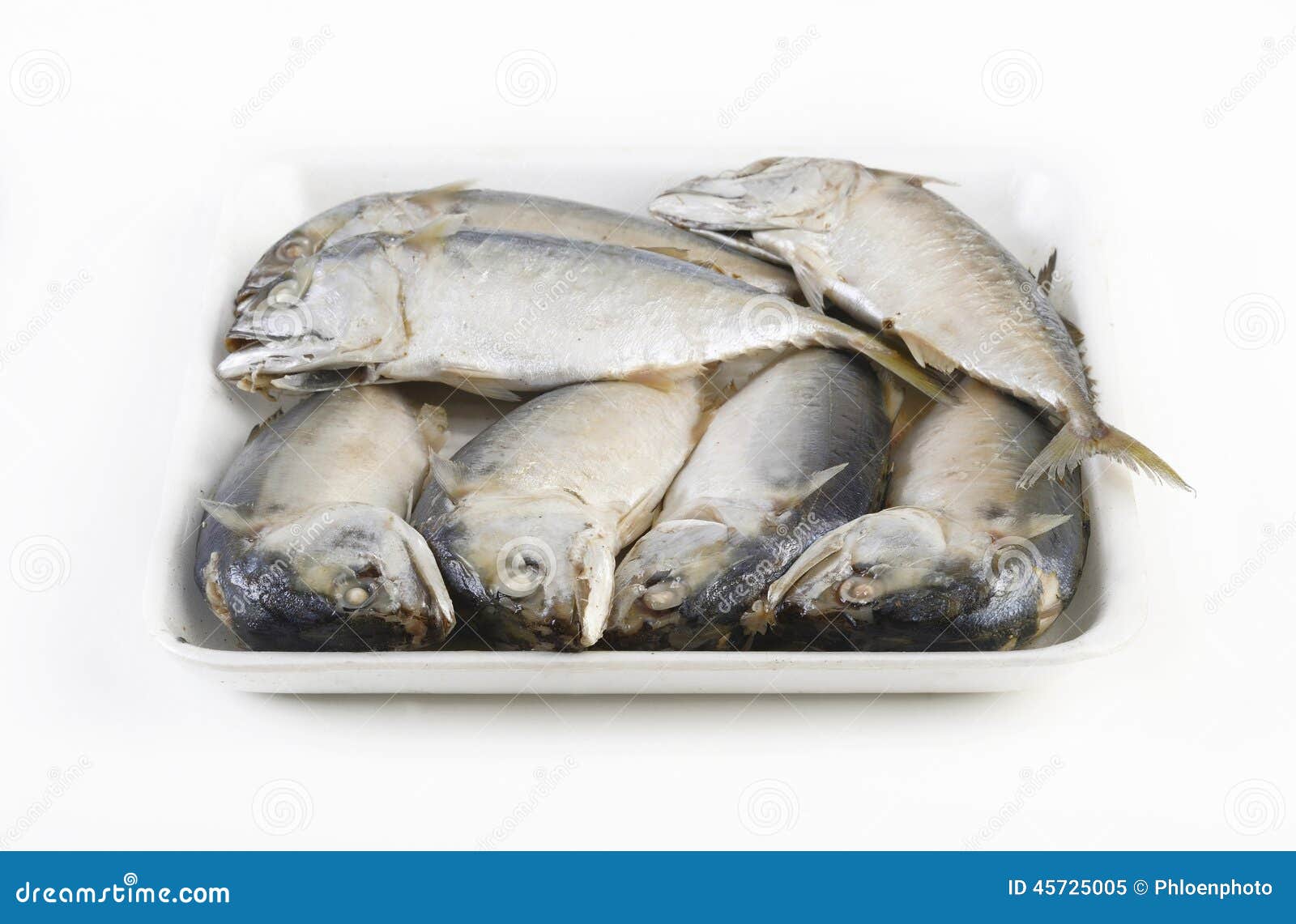 Mackerel in package stock image. Image of food, protein - 45725005
