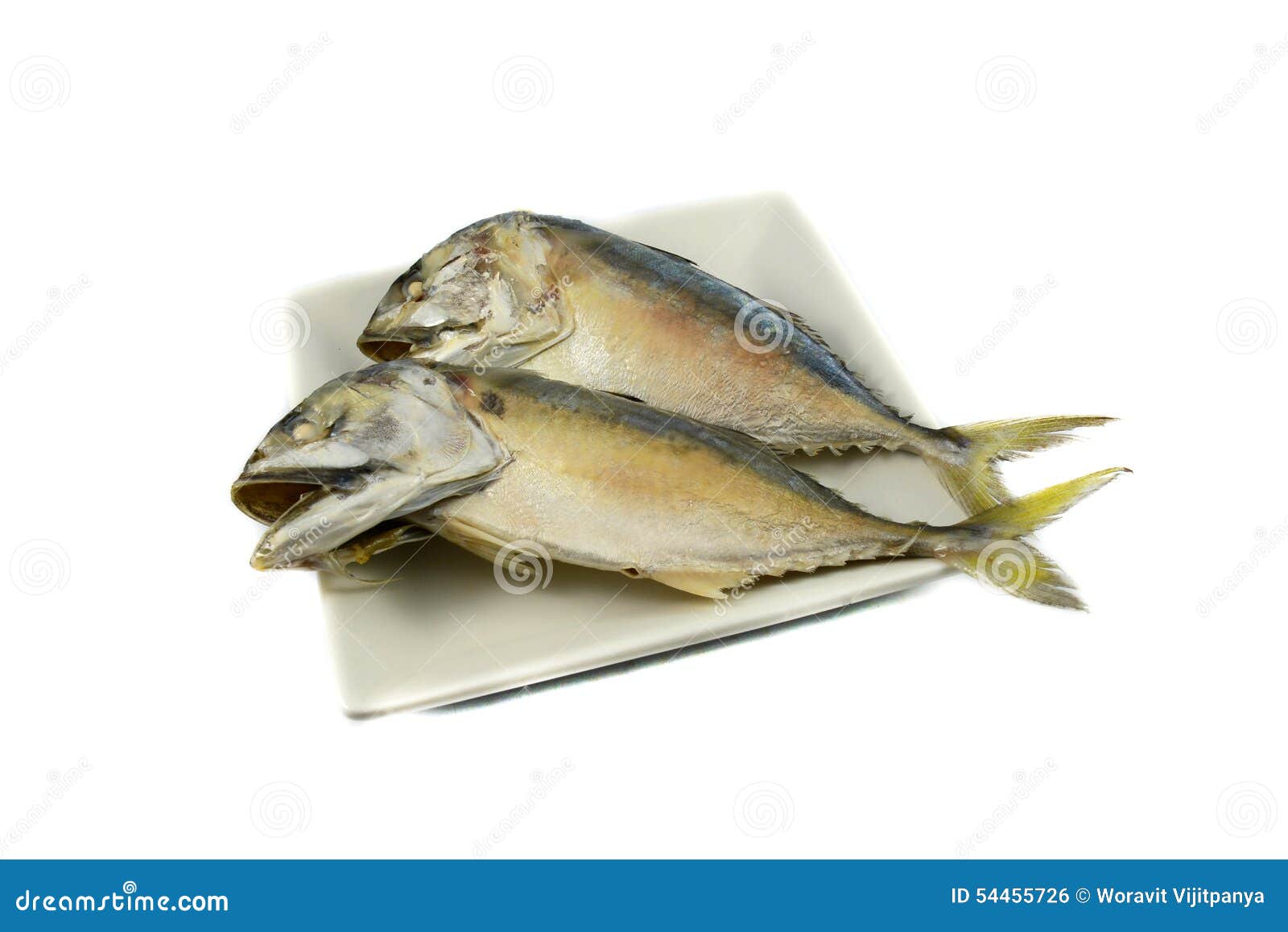 Mackerel on plate stock photo. Image of norwegian, food - 54455726