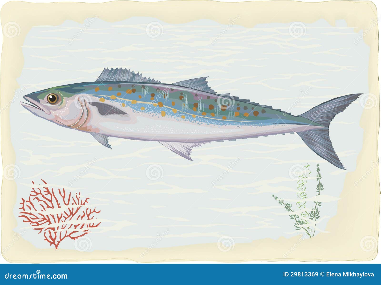 Mackerel stock vector. Illustration of life, mackerel - 29813369