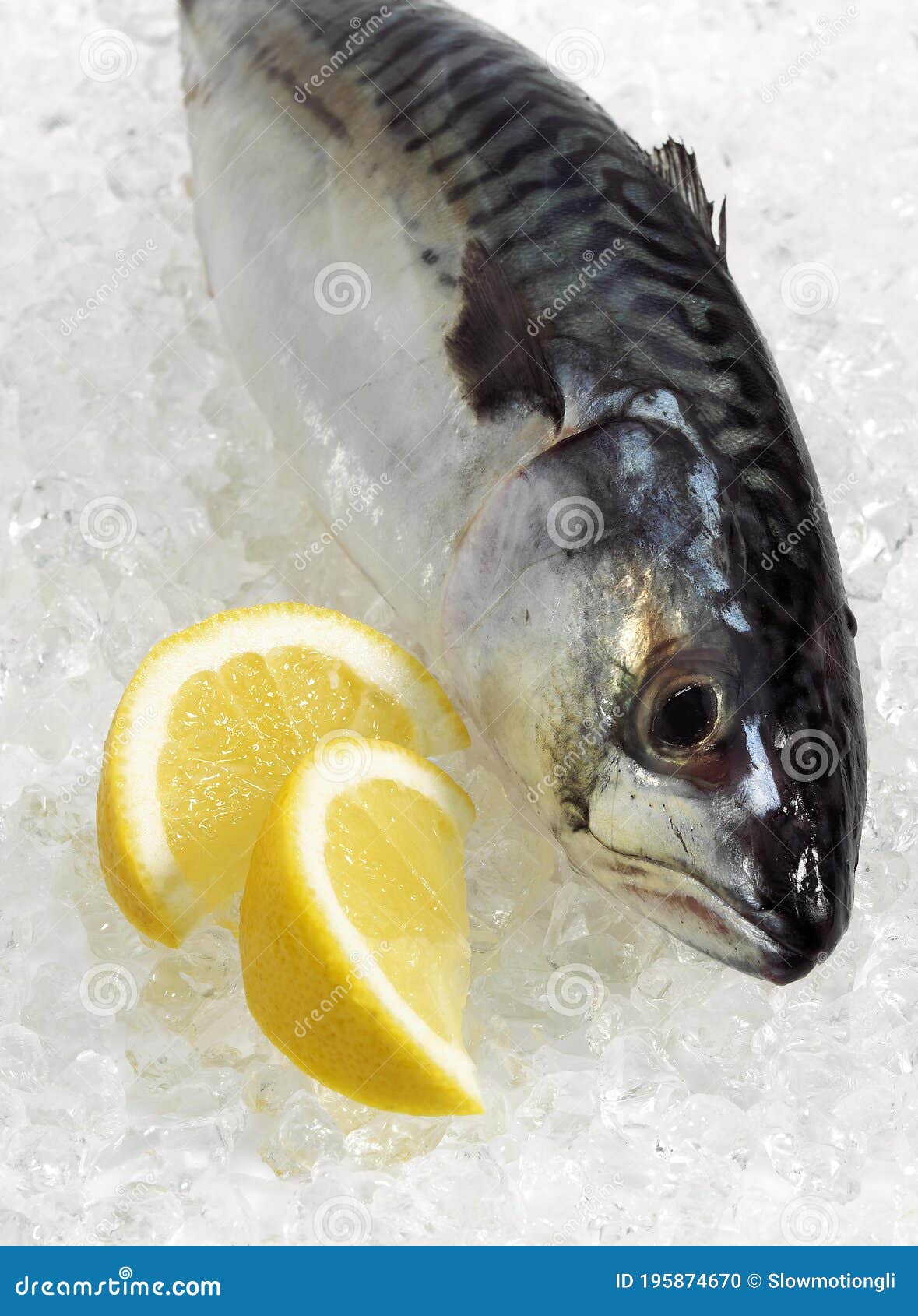 Mackerel, Scomber Scombrus, Fresh Fish with Lemon on Ice Stock Photo ...
