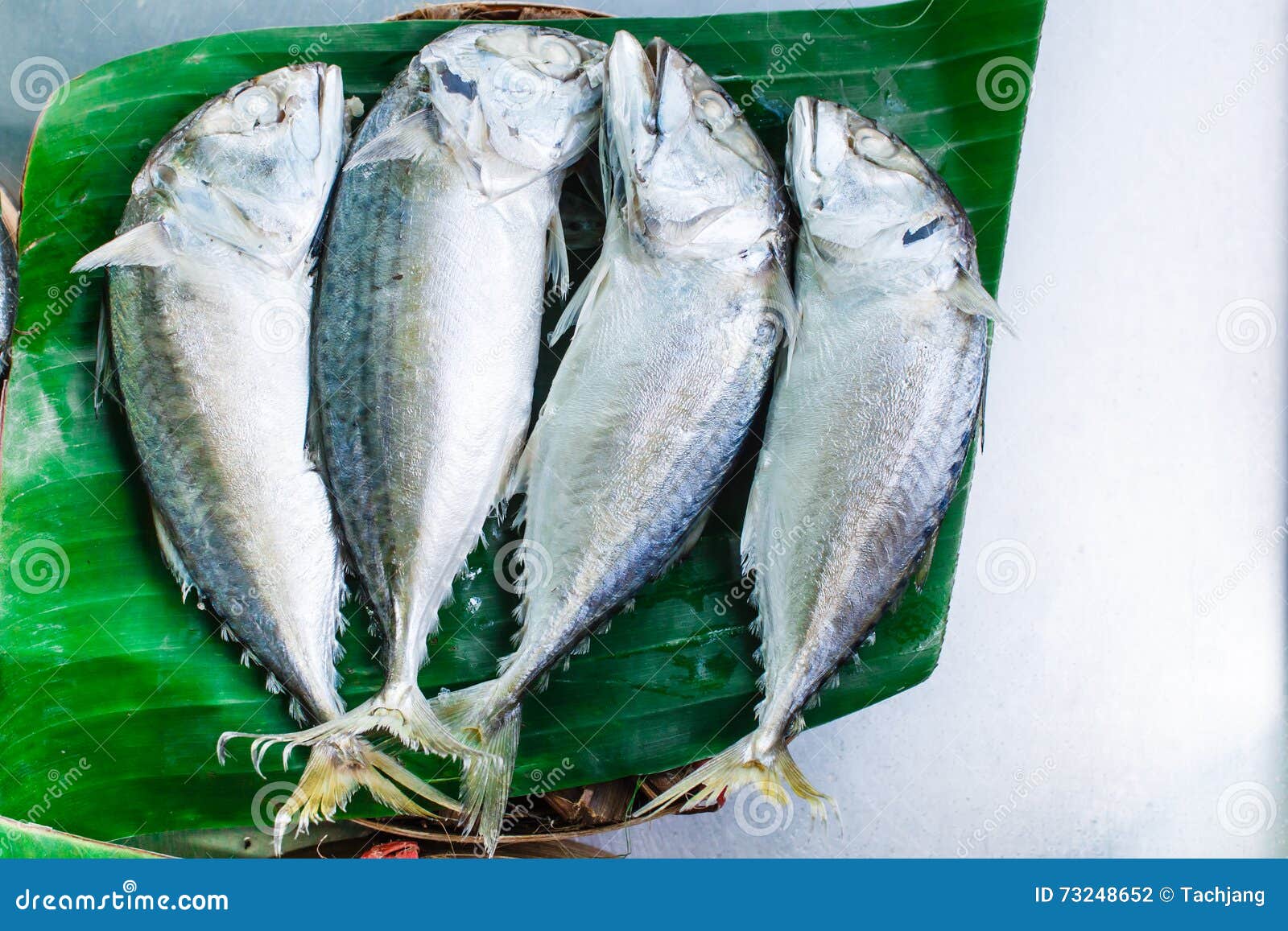 Mackerel or Short-bodied Mackerel. Stock Photo - Image of food, basket ...