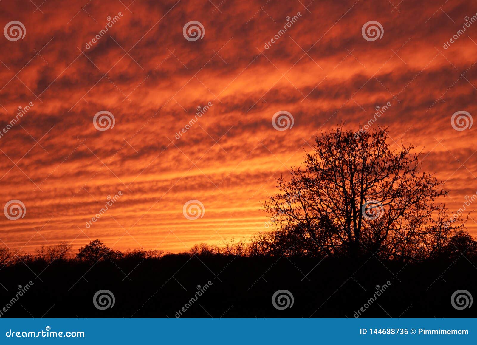 Mackerel Sky at Sunset; Vibrantly Colored Undulating Clouds Stock Photo ...