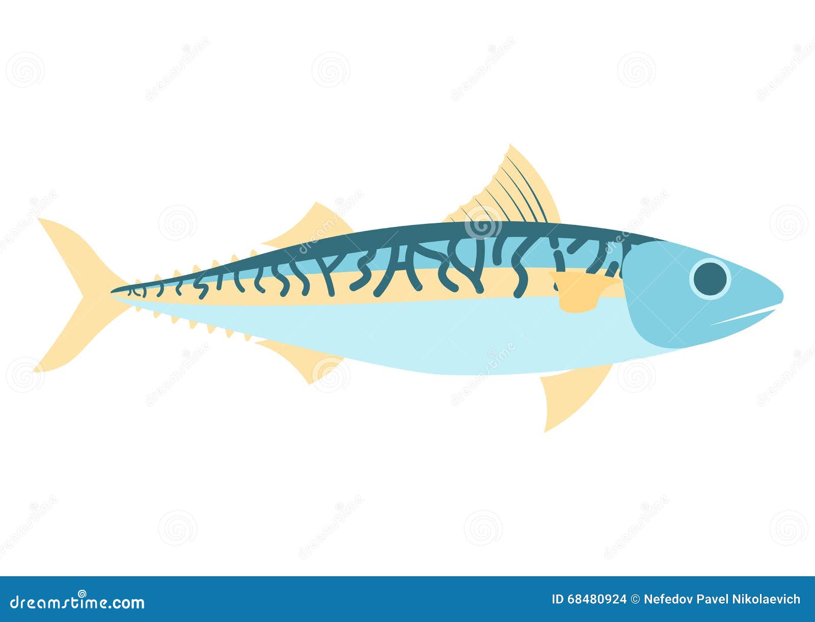 Mackerel Vector Illustration. Mackerel Vector Icon Illustration ...
