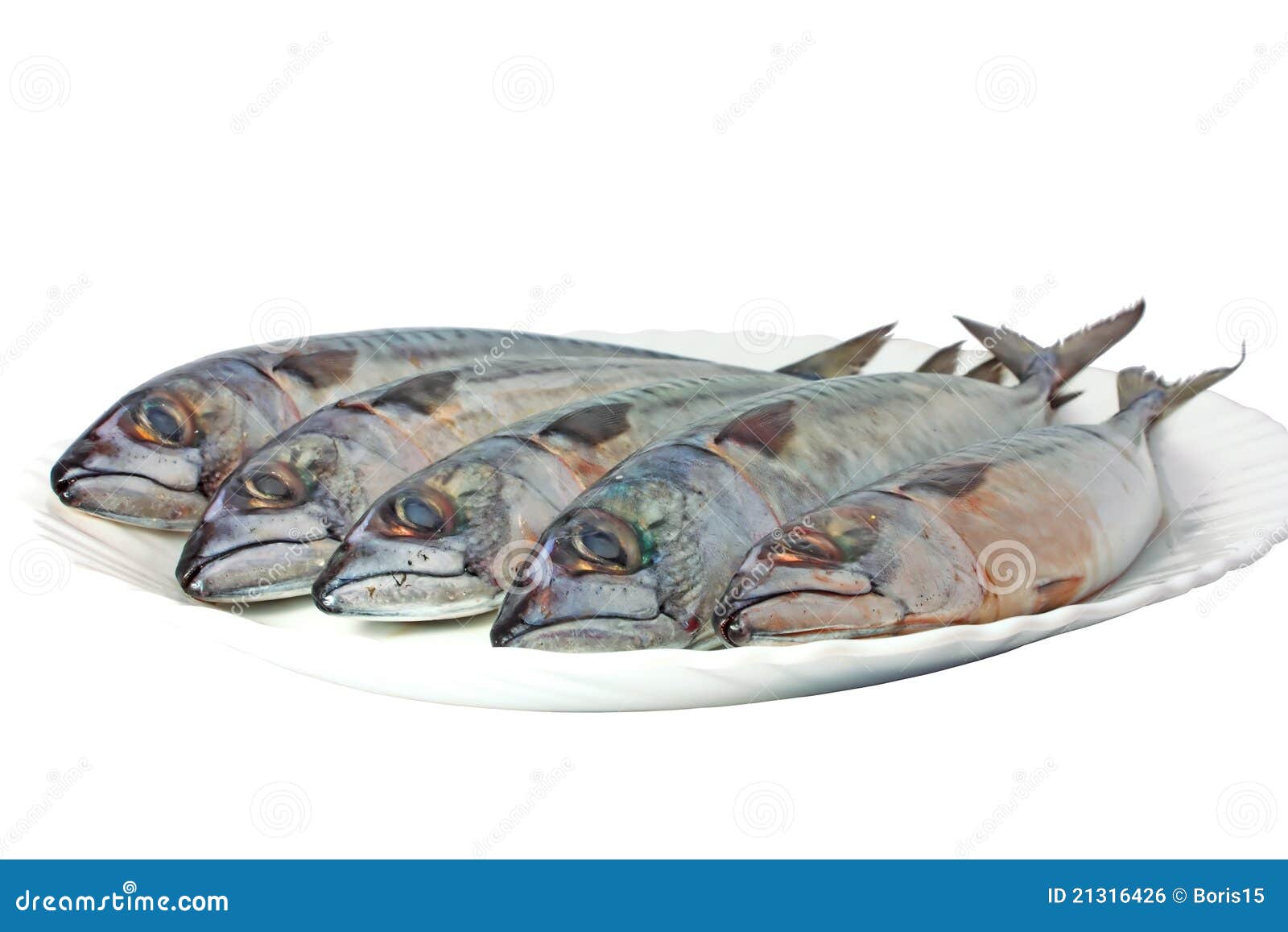 Mackerels stock photo. Image of silver, plate, mouth - 21316426