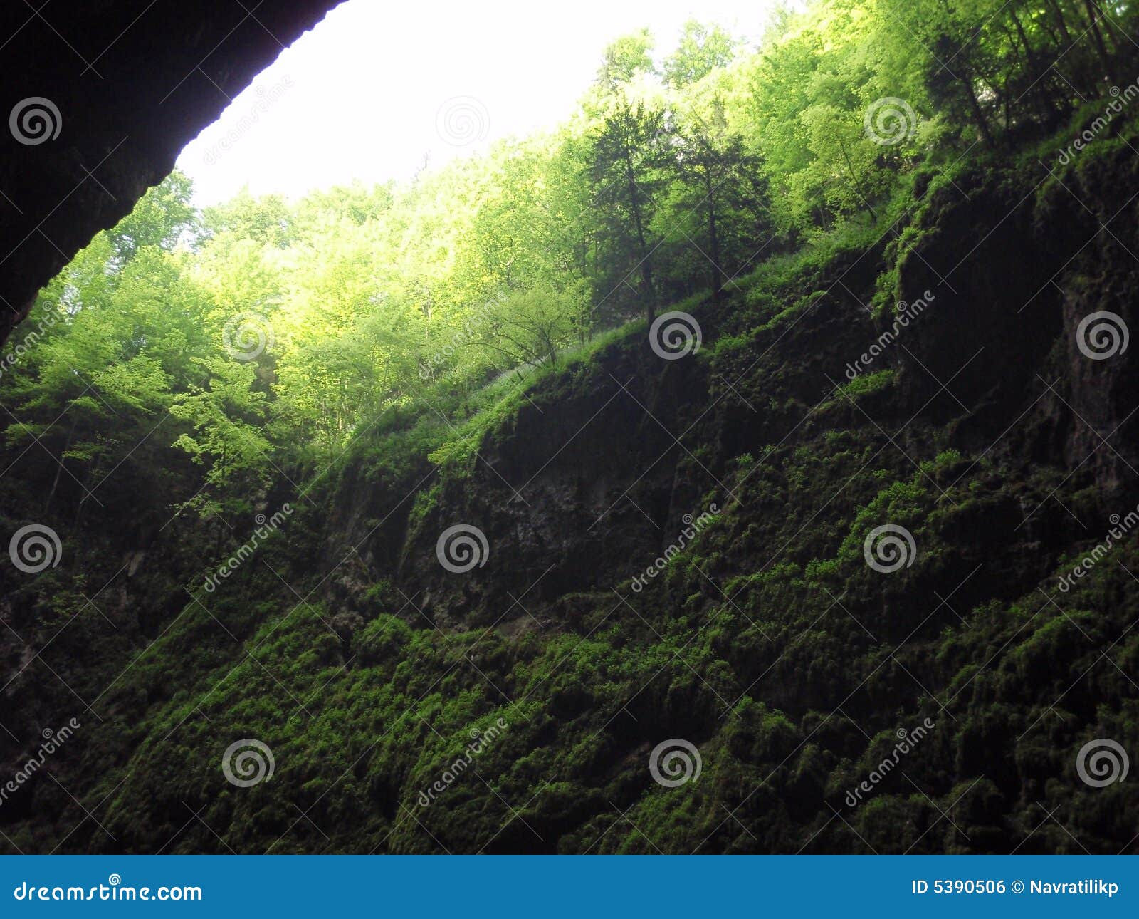 Macocha depth stock photo. Image of pure, original, scenic - 5390506