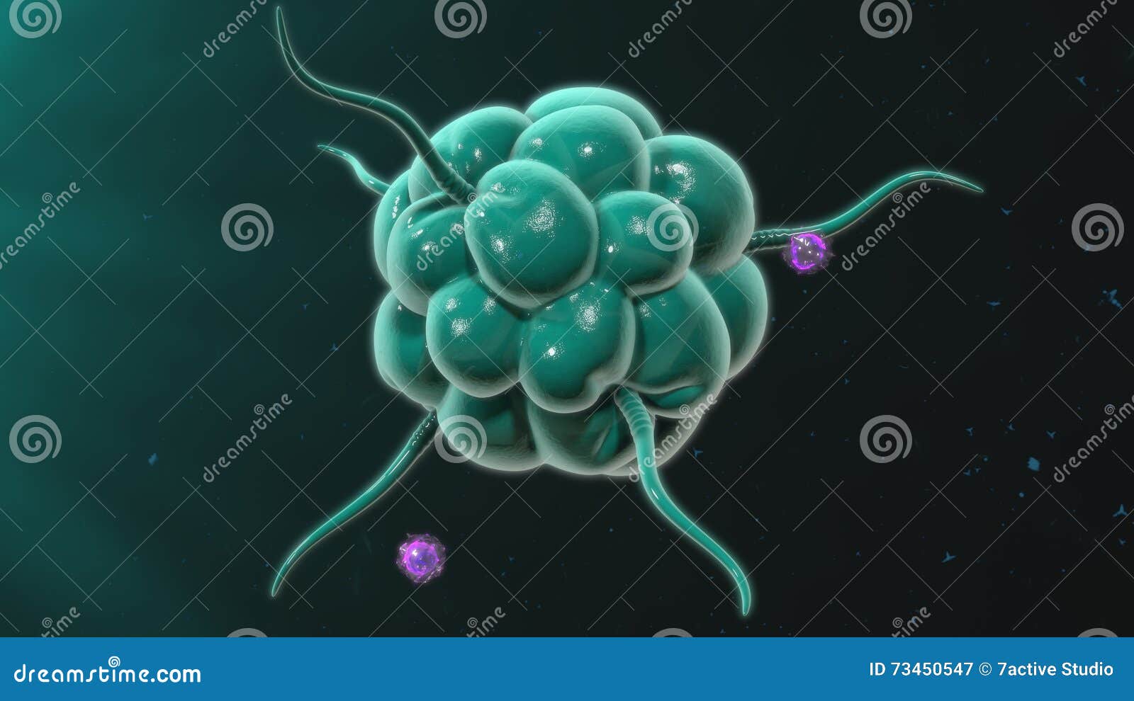 Macrófago stock de ilustración. Ilustración de hueso - 73450547