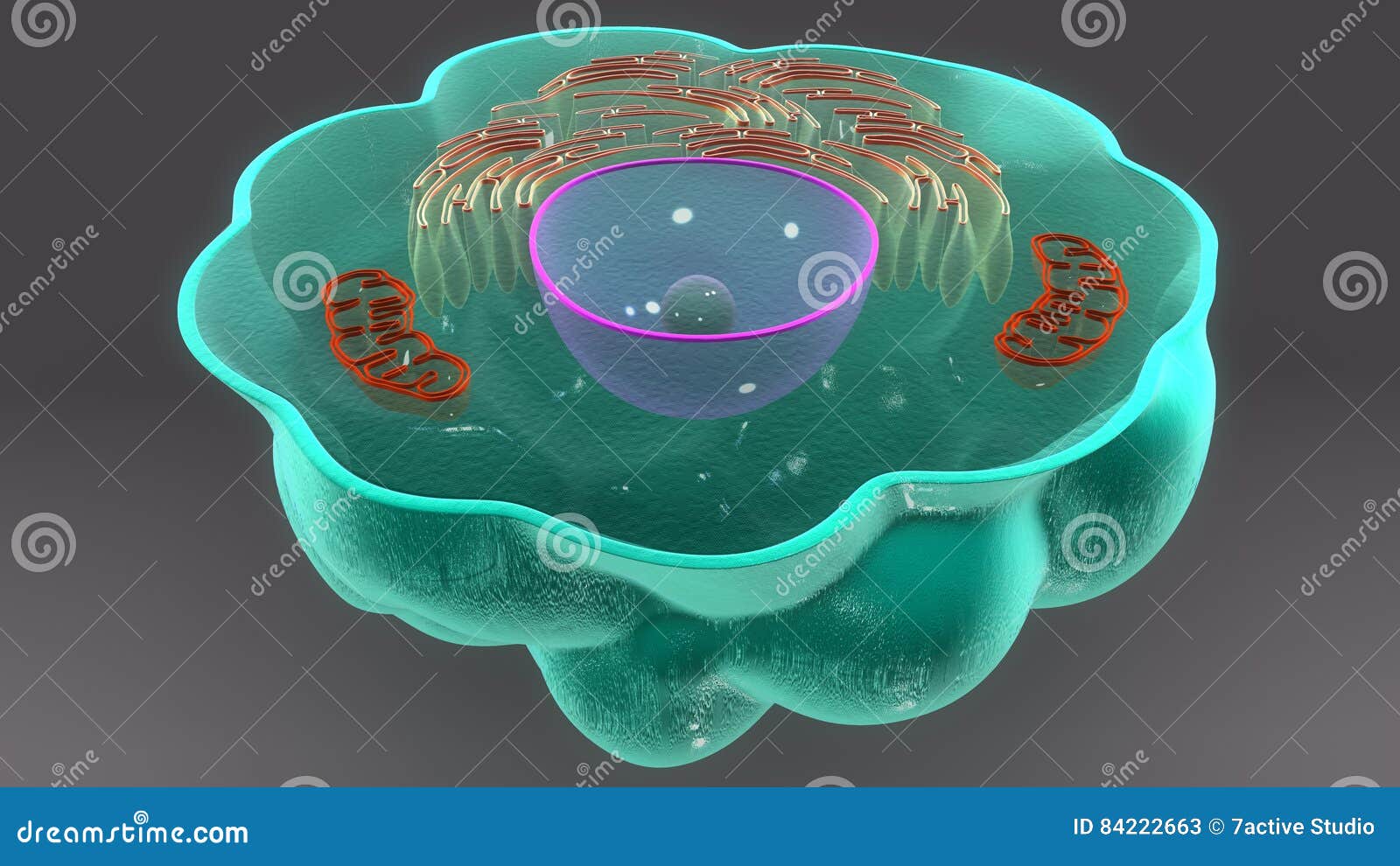 Macrófago stock de ilustración. Ilustración de sistema - 84222663