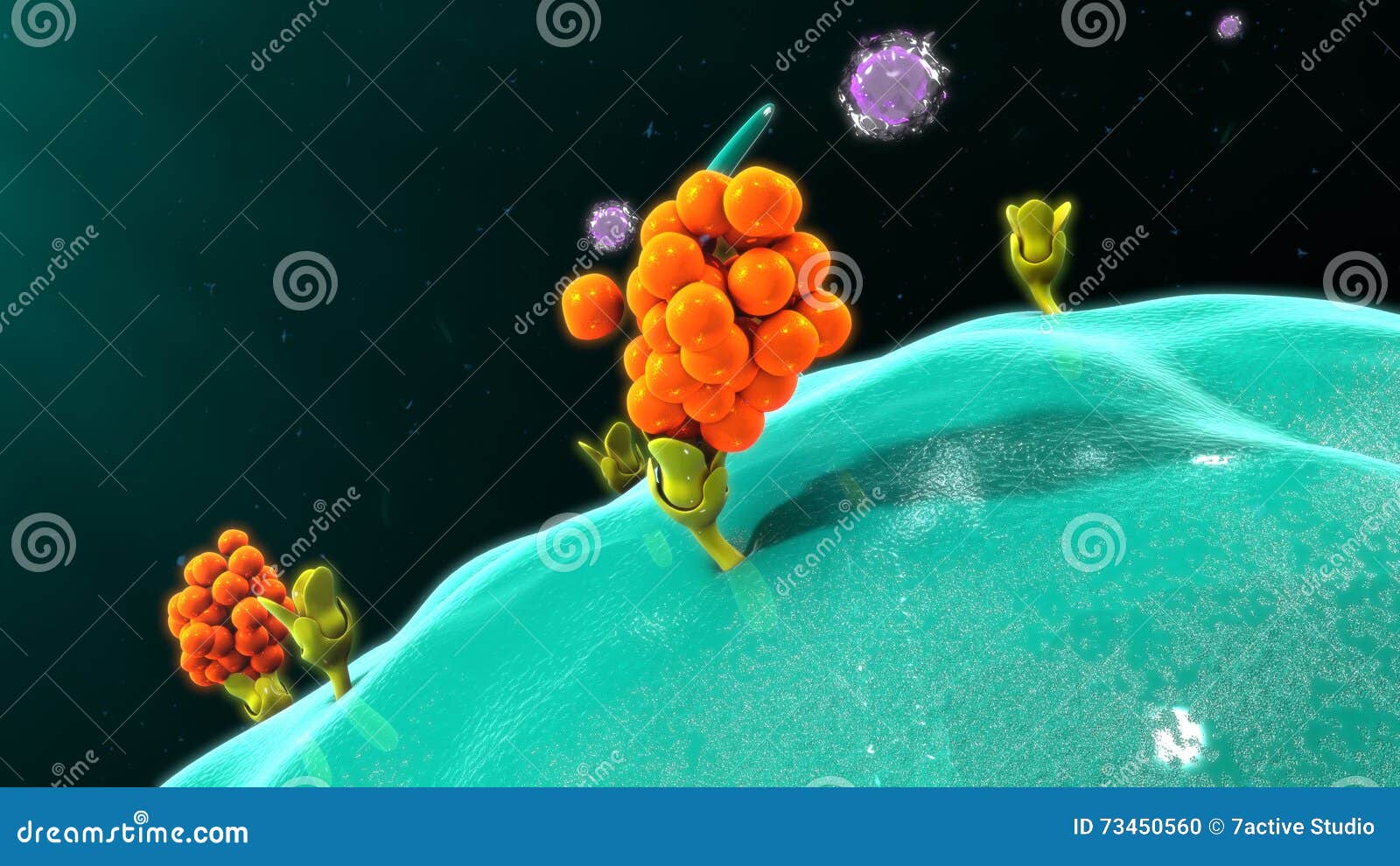 Macrófago Que Libera Cytokines Ilustração Stock - Ilustração de osso ...