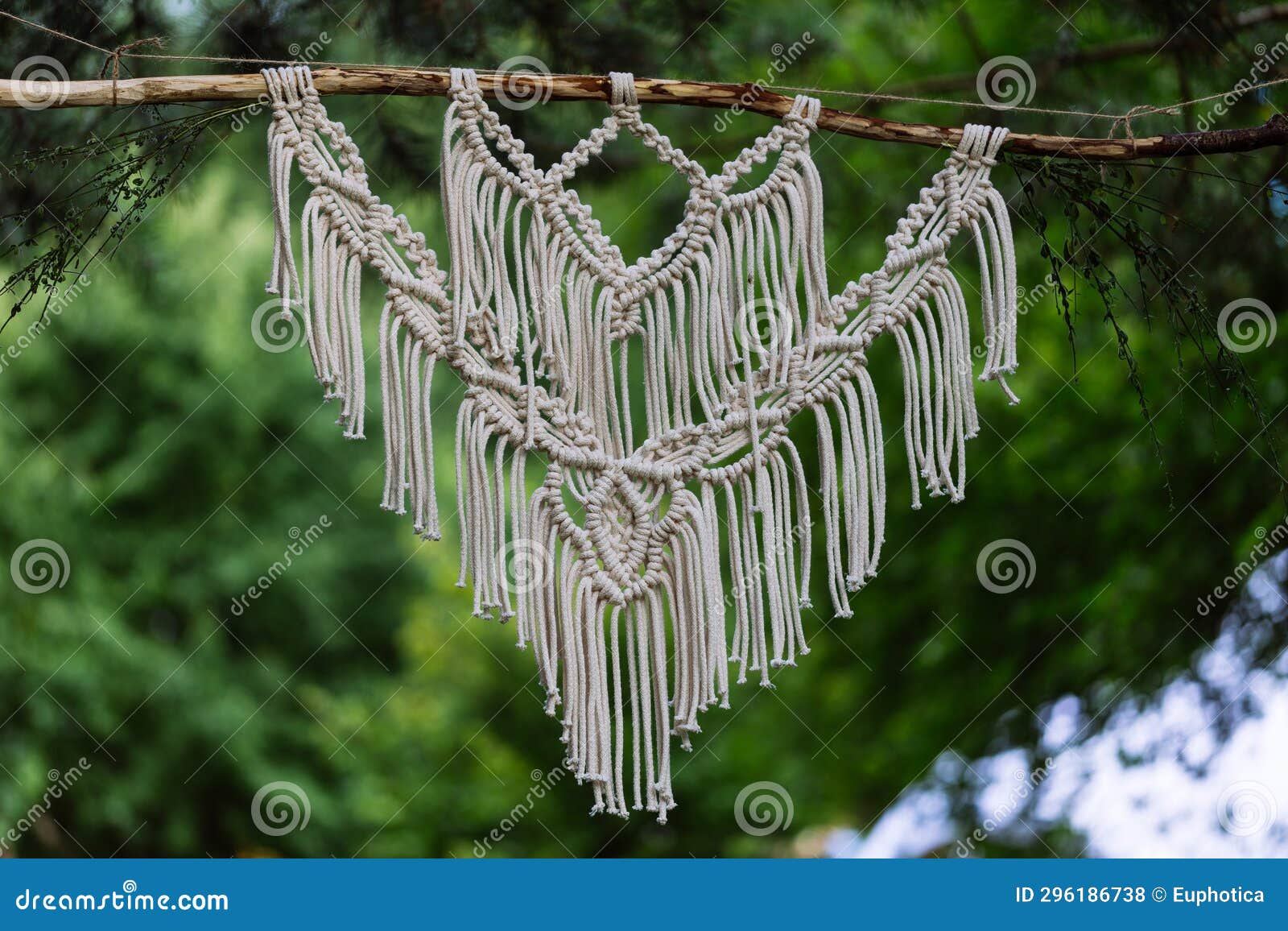 Macrame Hanging on a Tree Branch in the Forest Stock Photo - Image of ...