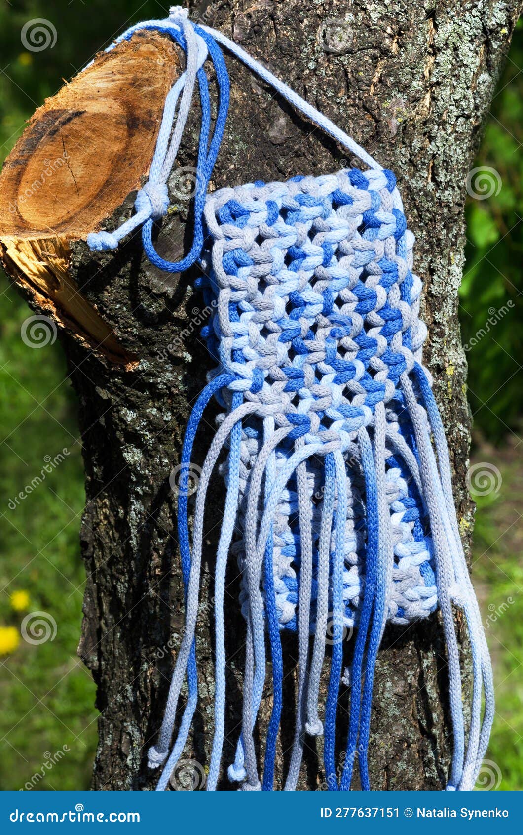 Macrame Technique Bag for Mobile Phone on Green Grass Background Stock ...