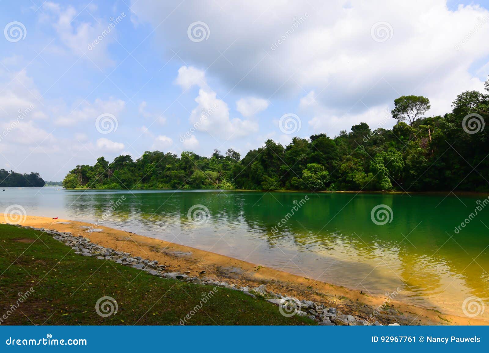 MacRitchie Reservoir Park stock image. Image of tree - 92967761