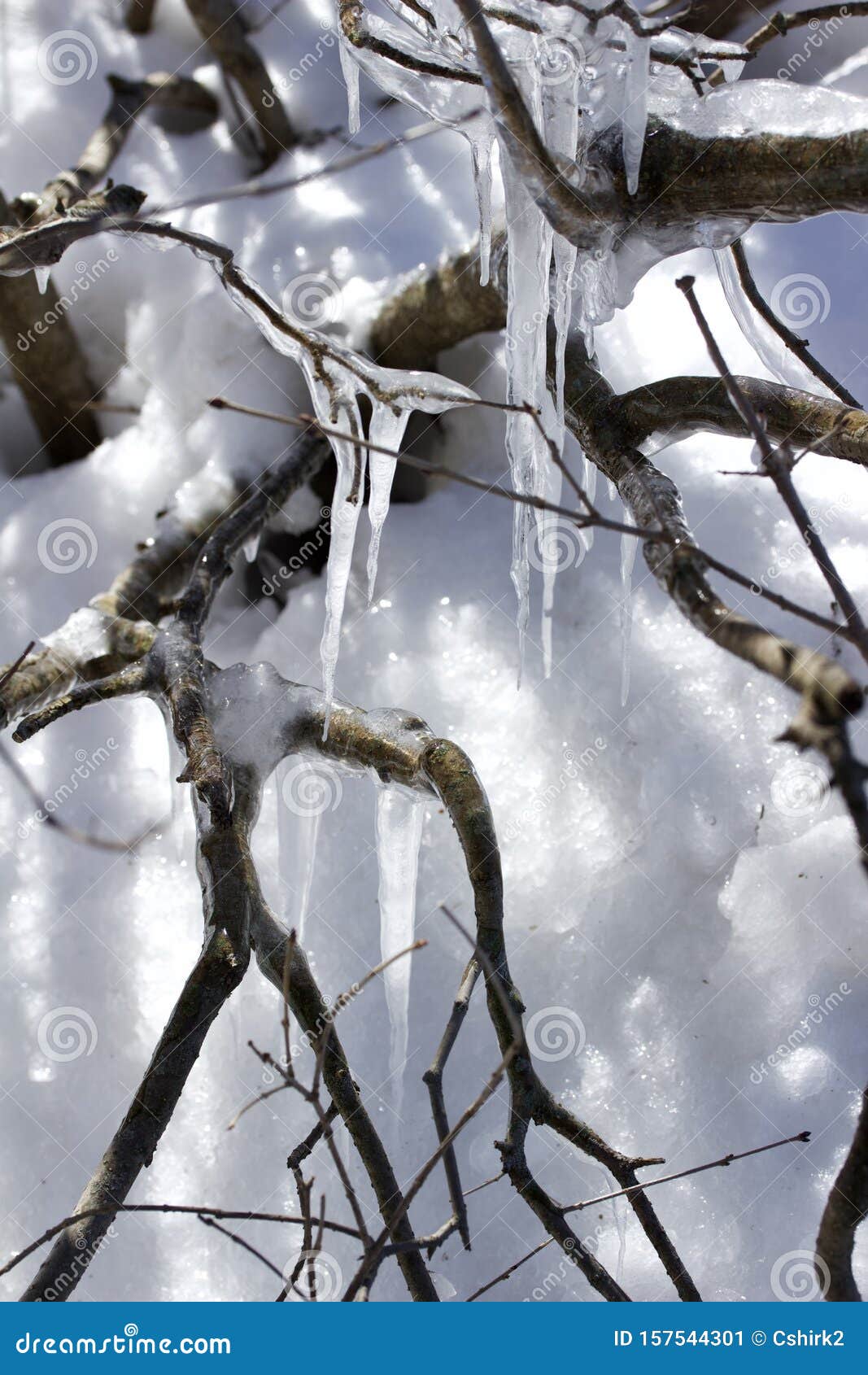 Macro Abstract View of Melting Snow and Ice Creating Icicles on a Bare ...