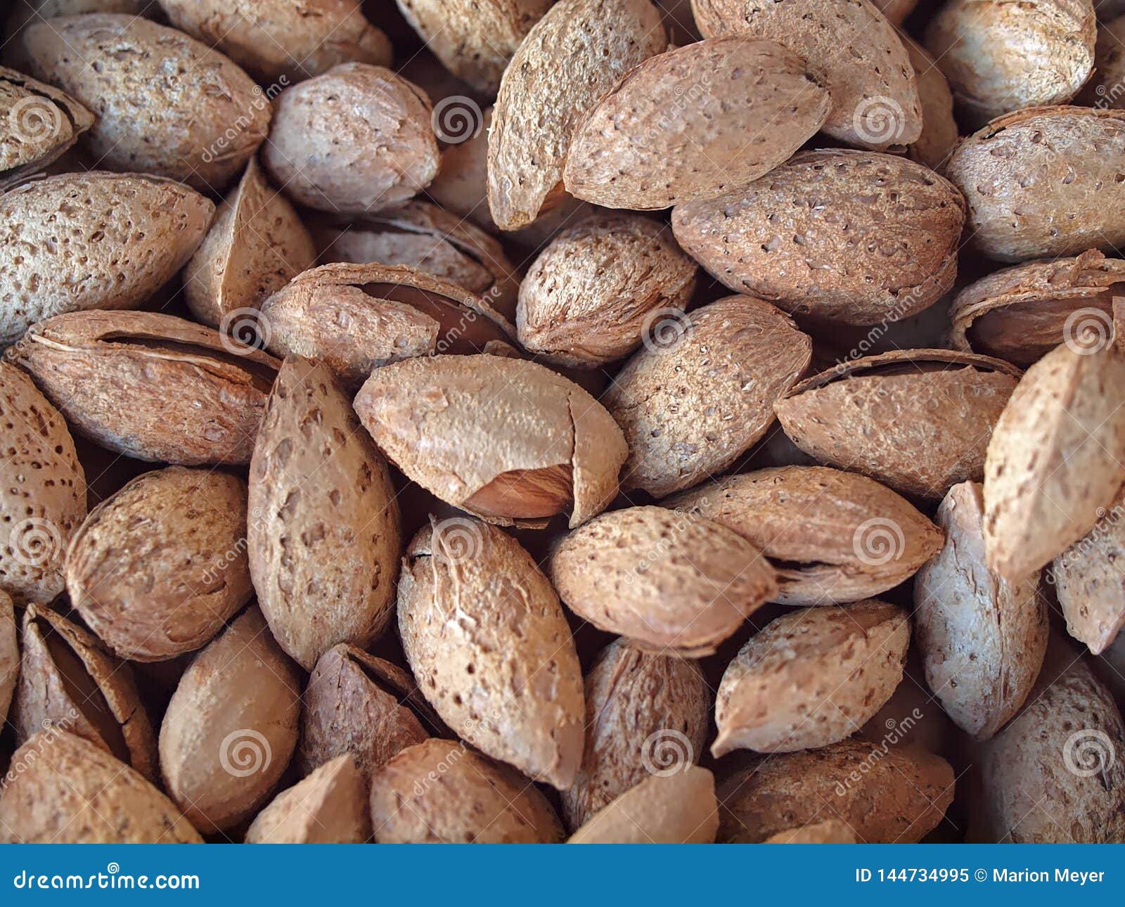 Fresh Almonds with Nutshells Stock Image - Image of group, natural ...