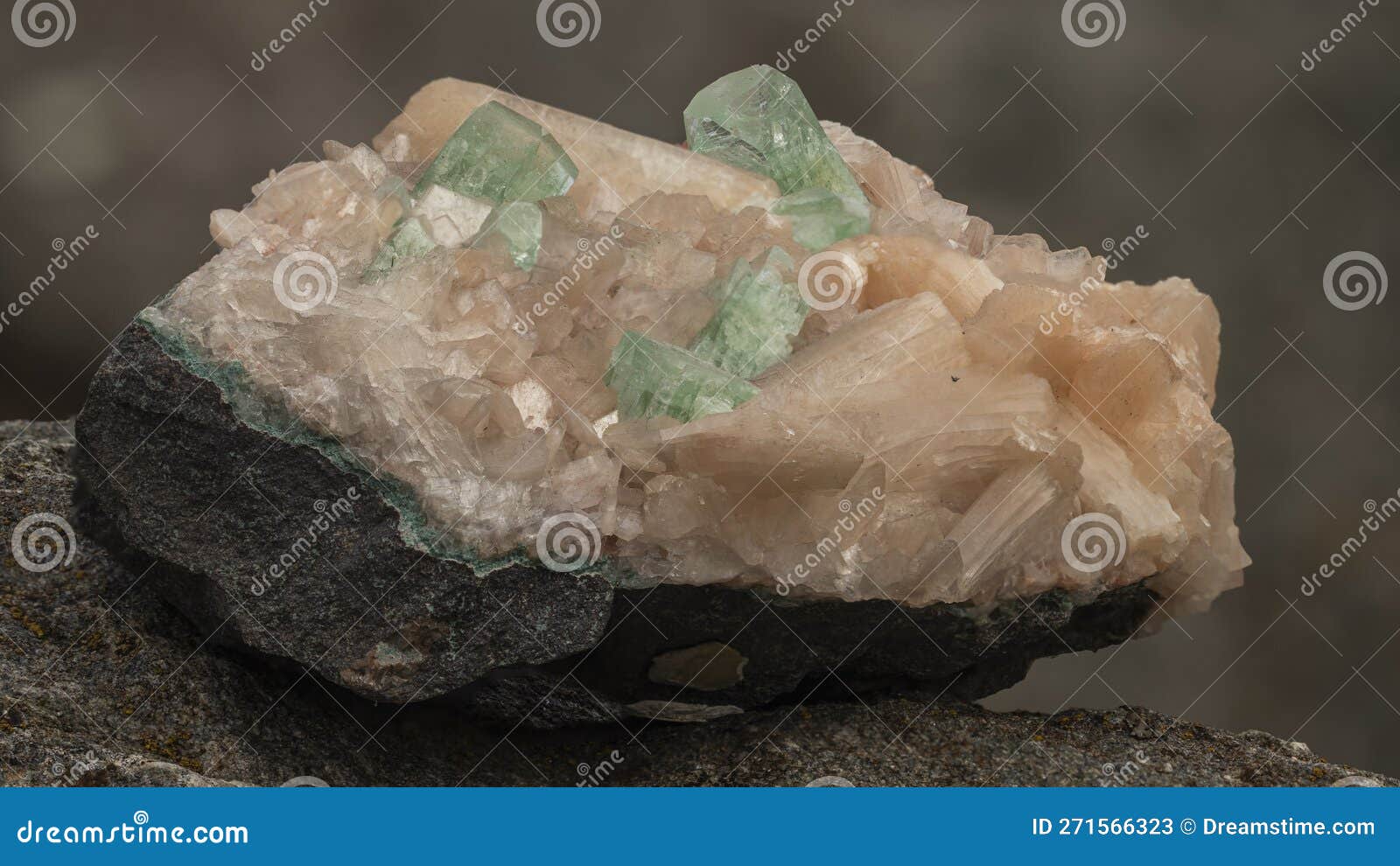 Macro of an Apophyllite and Stilbite Mineral Specimen on a Black ...