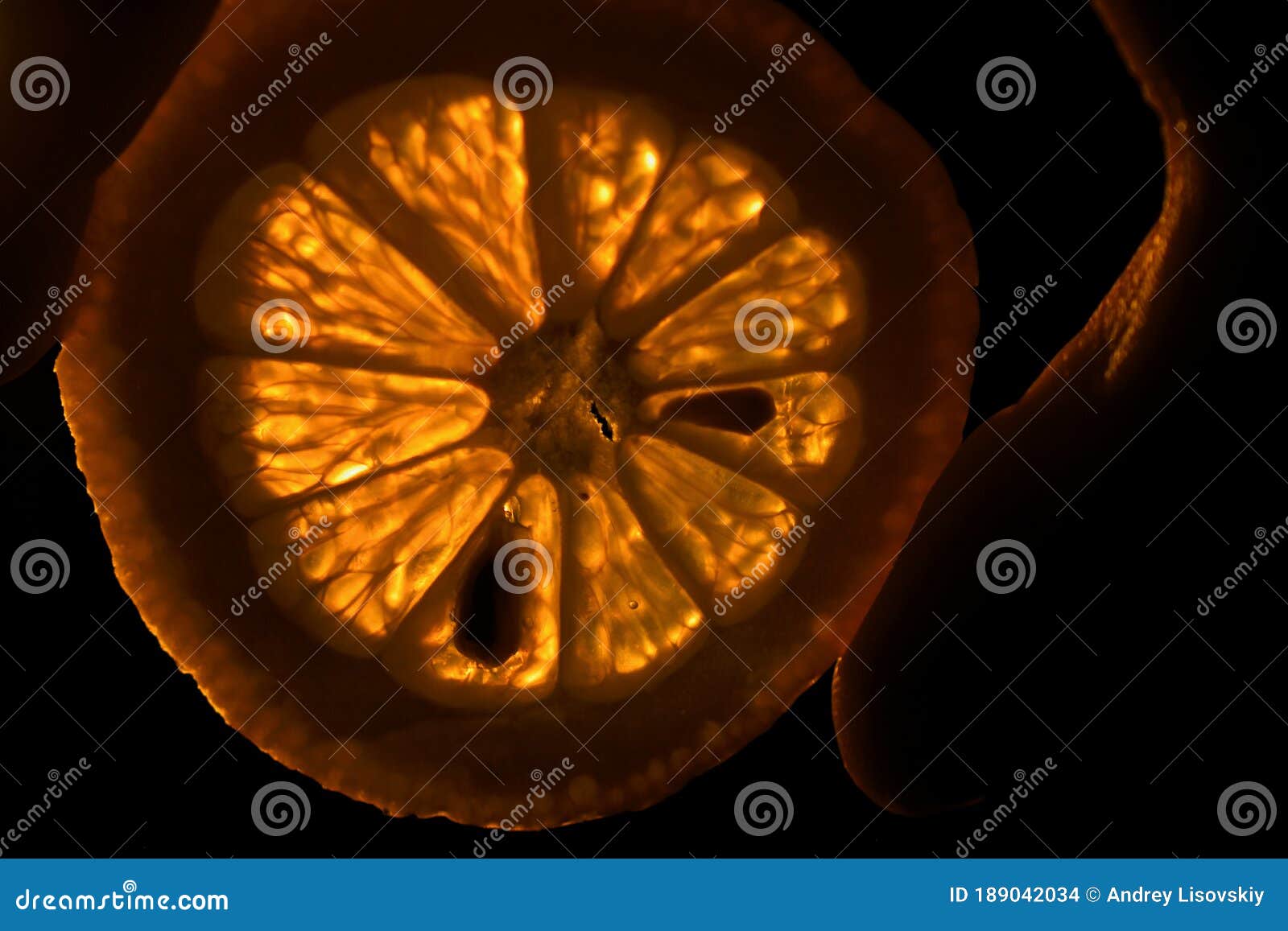 Macro of a Back-lit Slice of Lemon Isolated on White Stock Photo ...