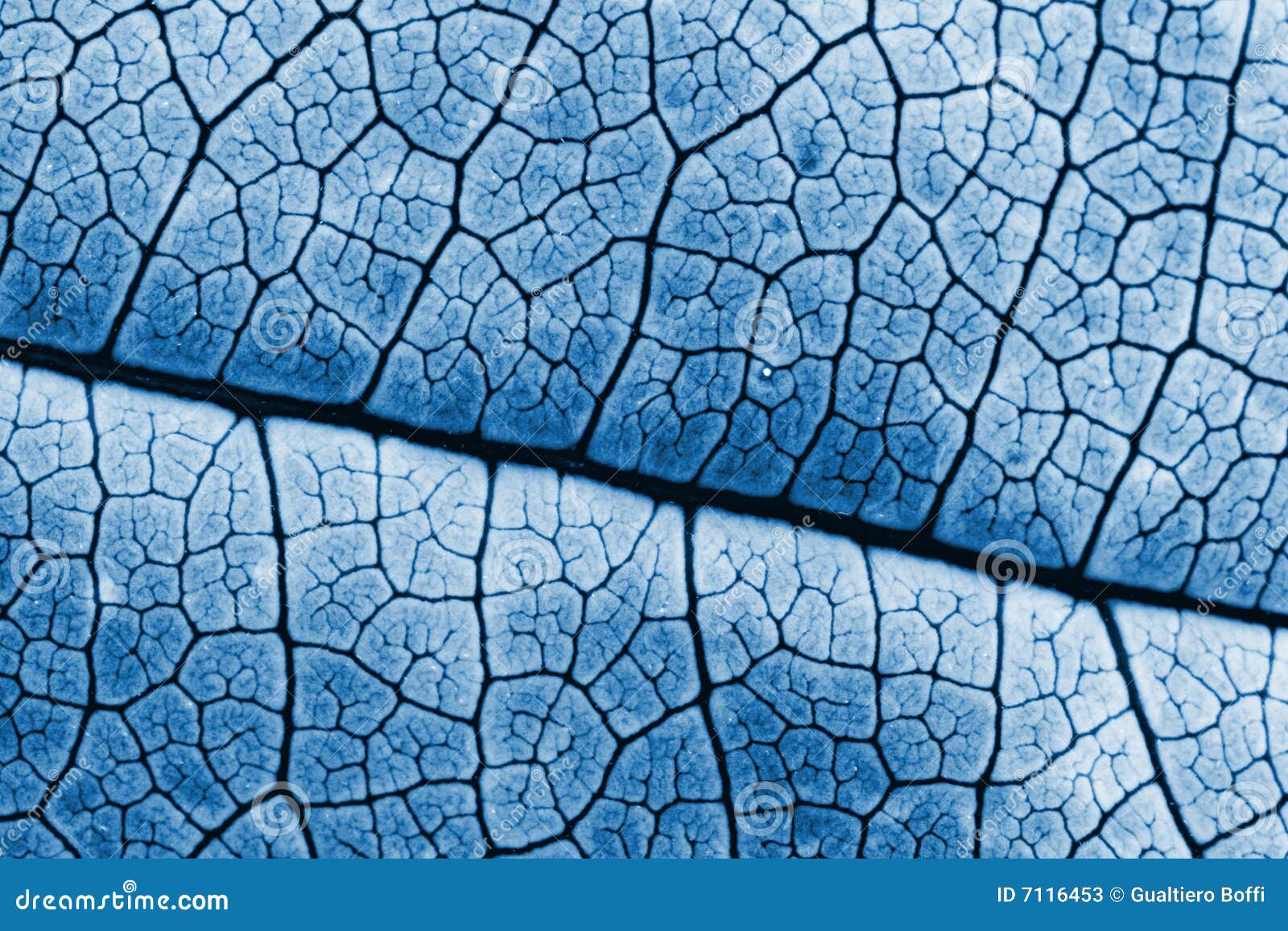 Macro background stock image. Image of beautiful, element - 7116453 Macro background stock image. Image of beautiful, element - 7116453