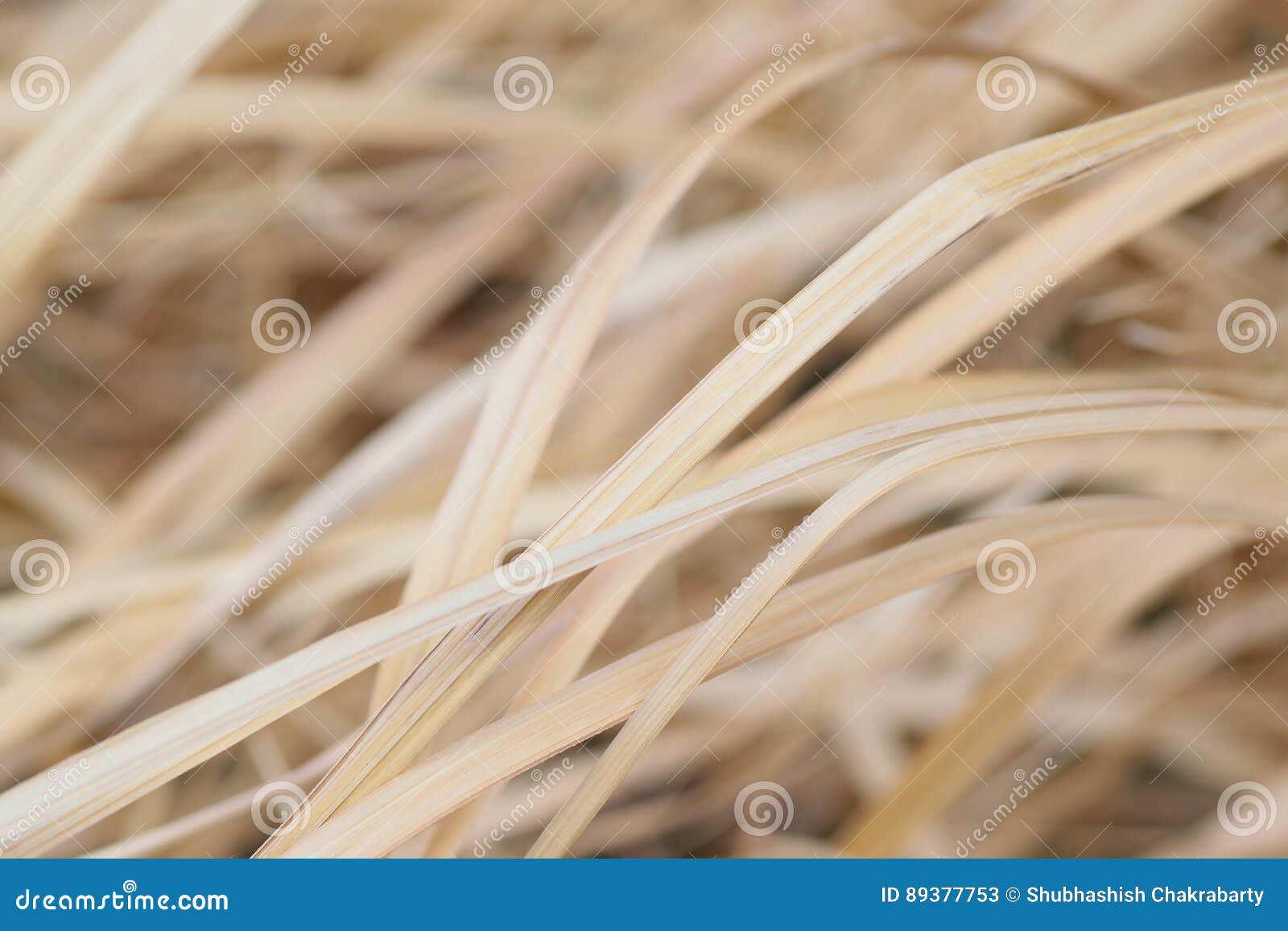 Macro Background Texture Dried Winter Grass Stock Image - Image of ...