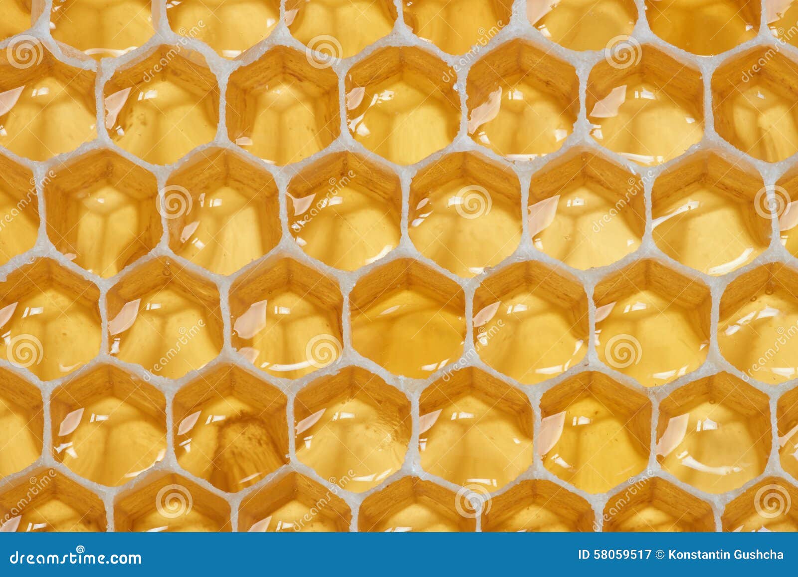 Macro of backlit honeycomb stock image. Image of hexagon - 58059517