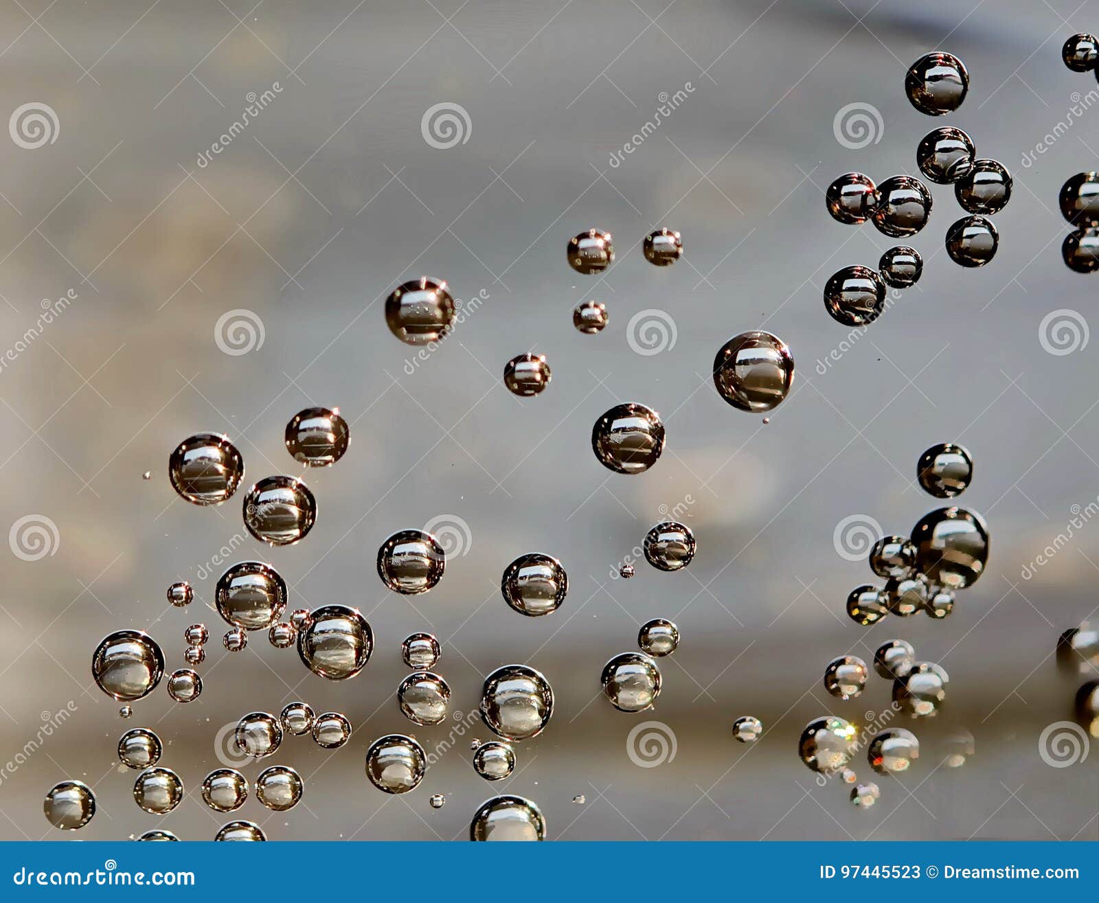 Macro Gel Balls. The Concept Purity, Transparent, Ideal And ...