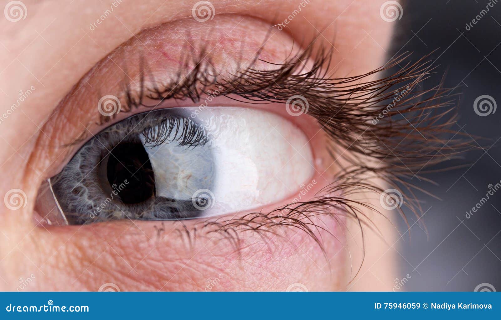 Macro of Beautiful Grey Eye Stock Image - Image of iris, person: 75946059