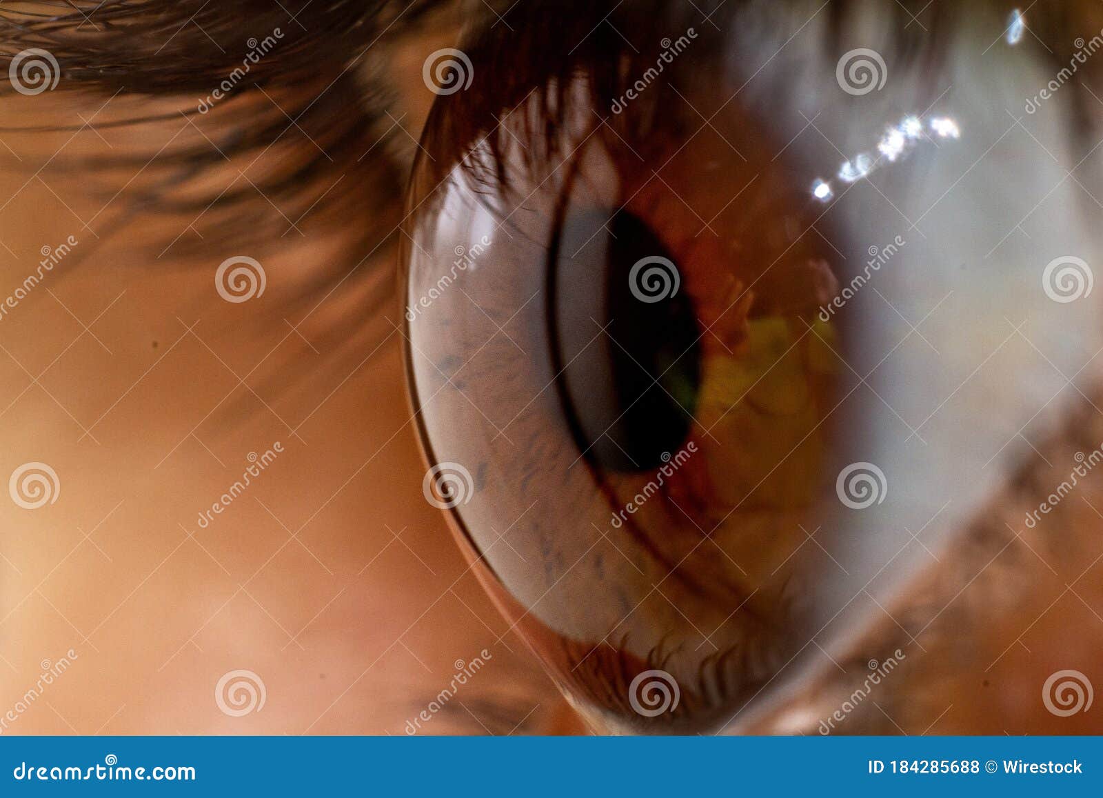 Macro of a Beautiful Mesmerizing Brown Human Eye Iris Stock Photo ...