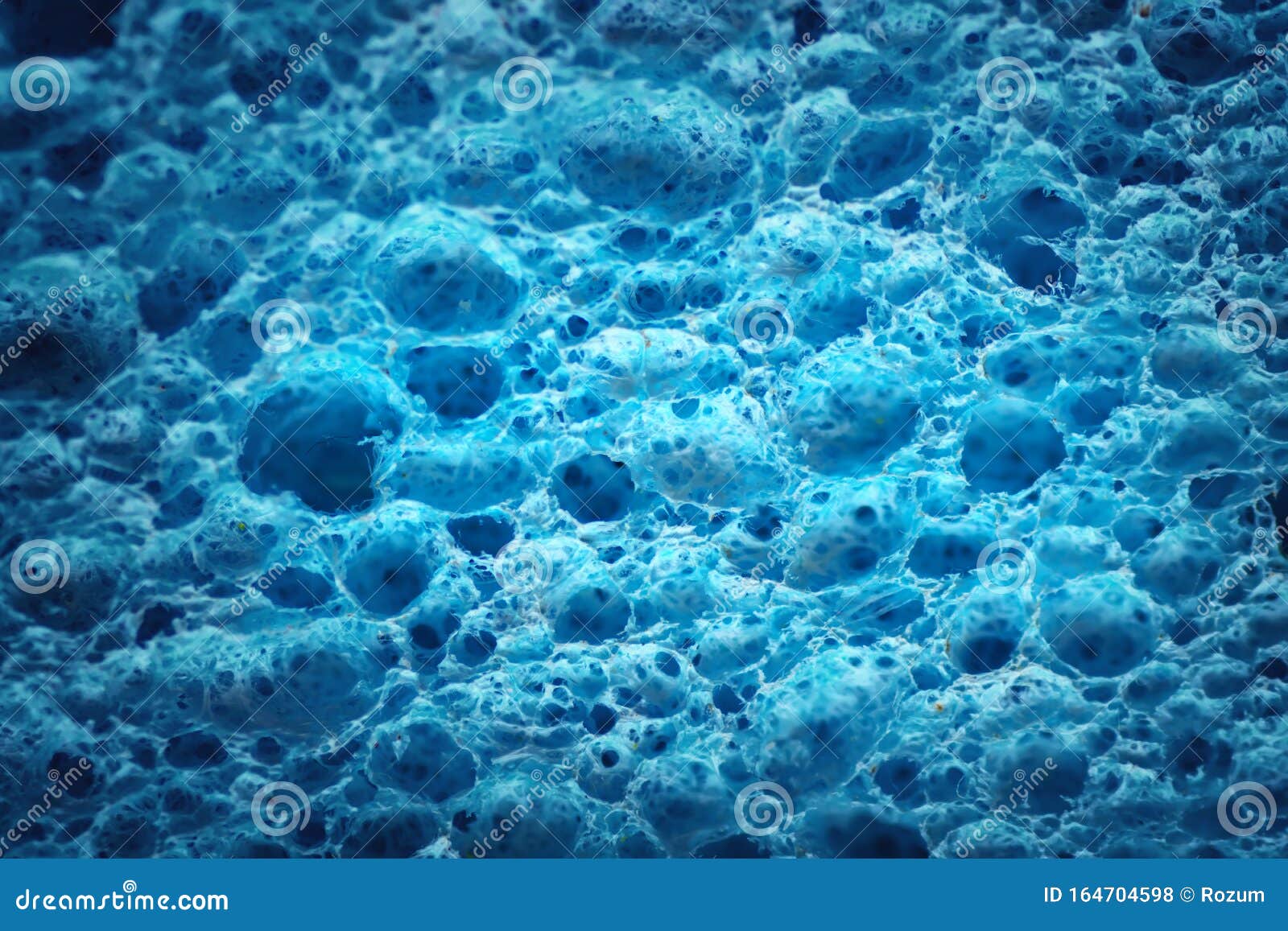 Biological Texture. Stock Photo | CartoonDealer.com #52498626