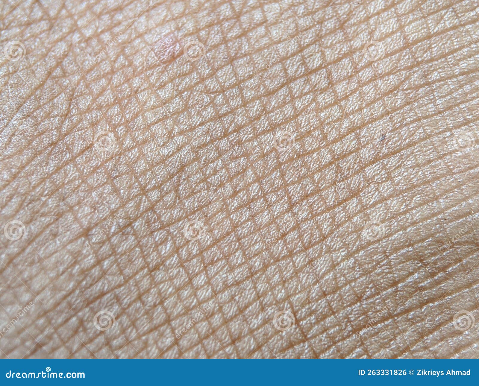 Macro of hand skin texture stock photo. Image of brown - 263331826