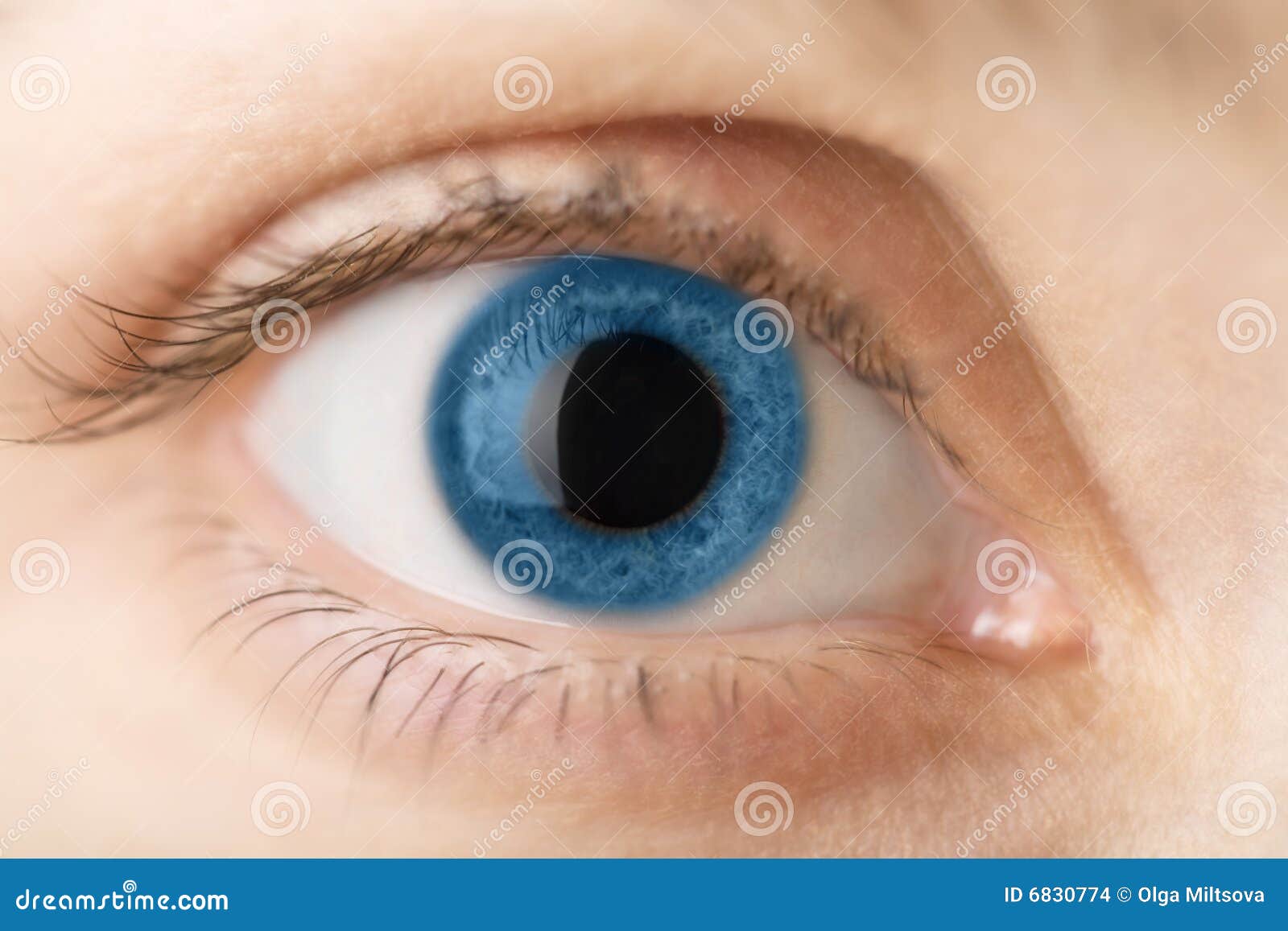 Macro of blue human eye stock photo. Image of glamor, ball - 6830774