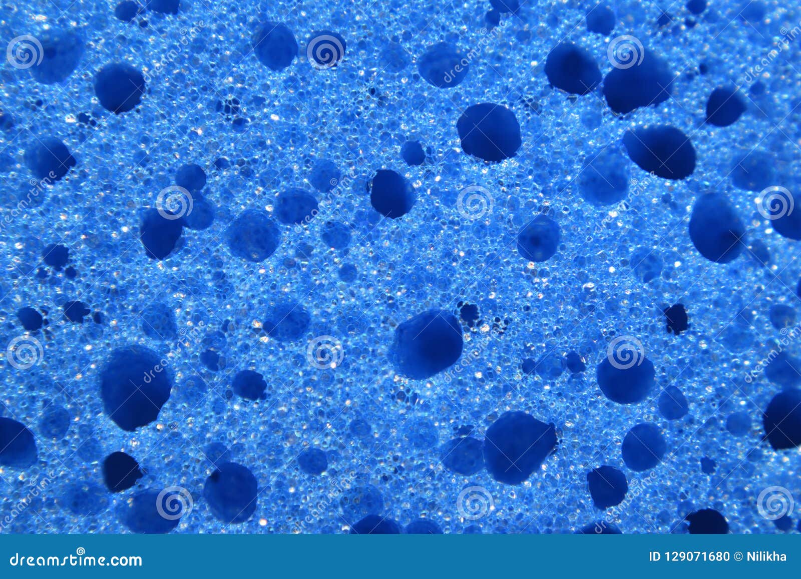 Macro blue sponge stock photo. Image of photograph, sponge - 129071680