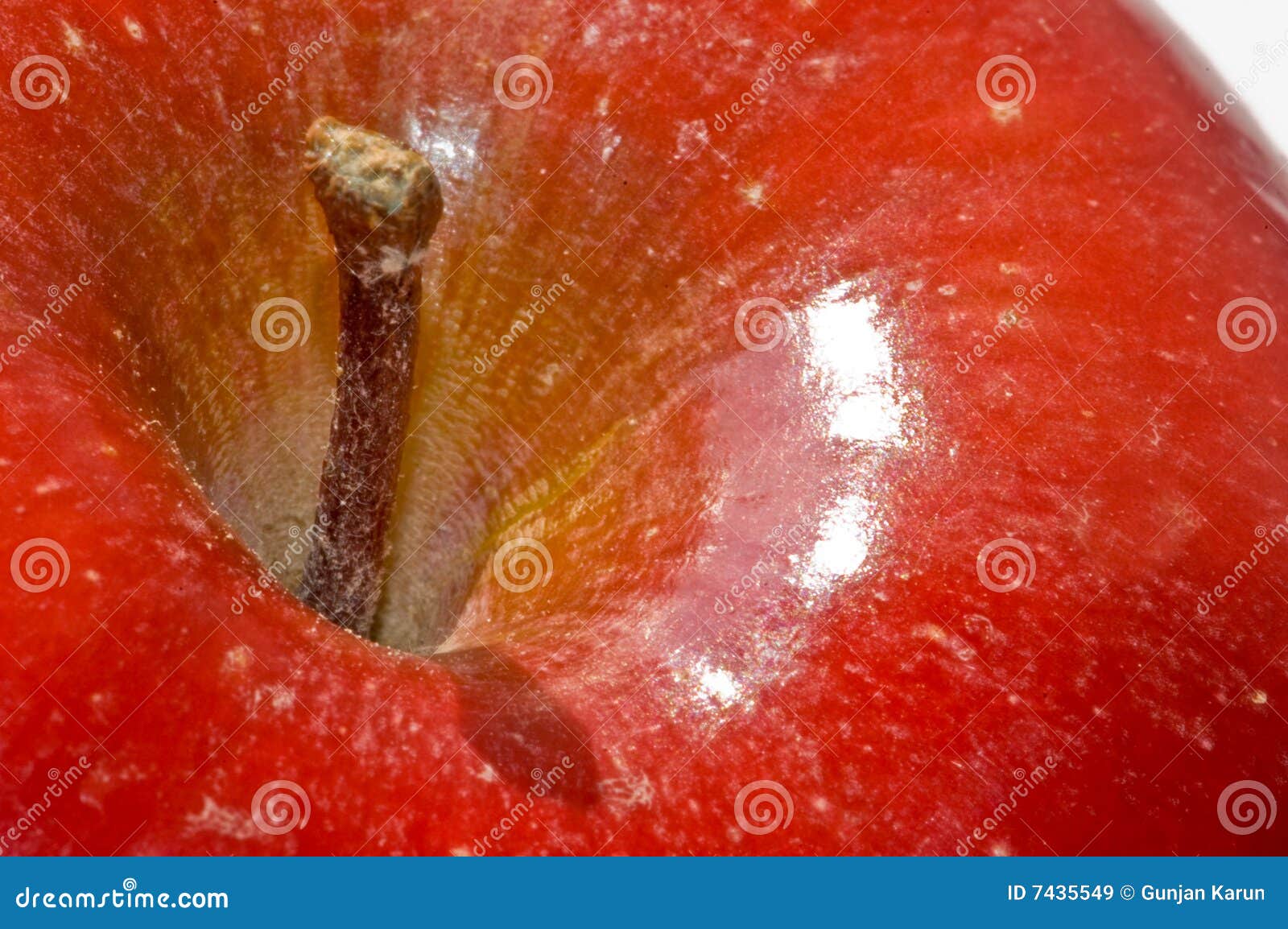 Macro of Bright Red Apple S Stem Stock Image - Image of design ...