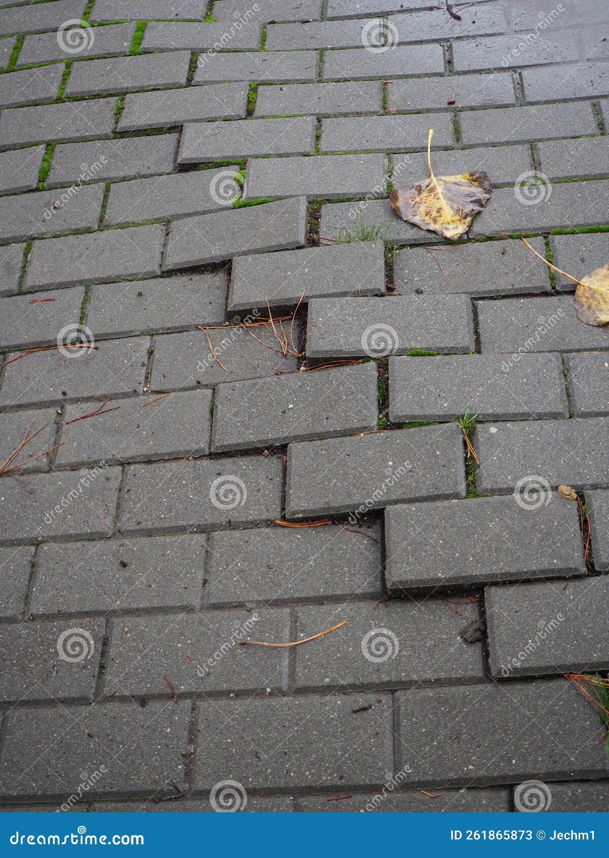 Broken Concrete Pathway Brick Surface Background, Close Up Abstract ...
