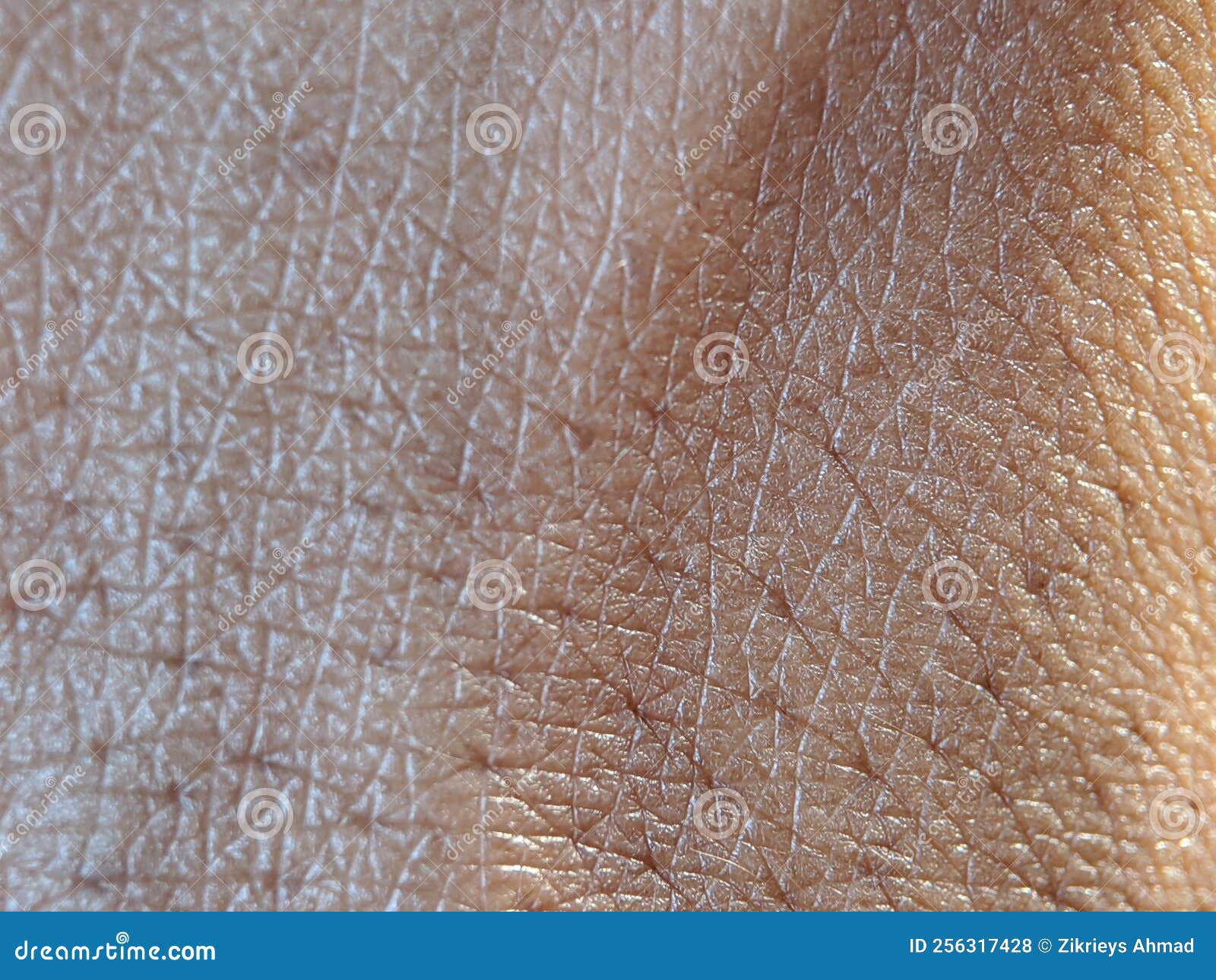 Macro of Brown Hand Skin Texture Stock Photo - Image of brown, soil ...